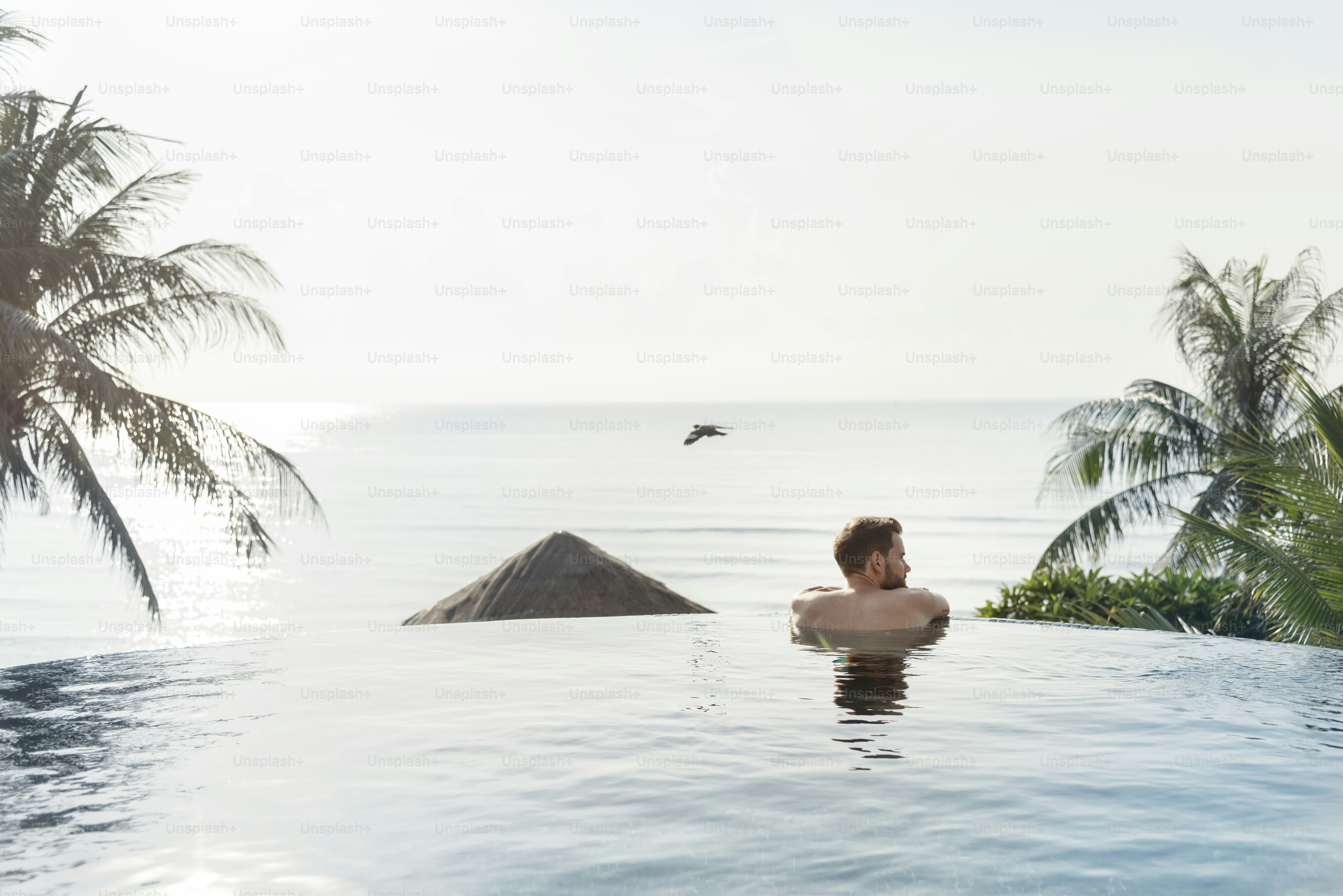 Handsome guy relaxing in swimming pool photo – Sunny Image on Unsplash