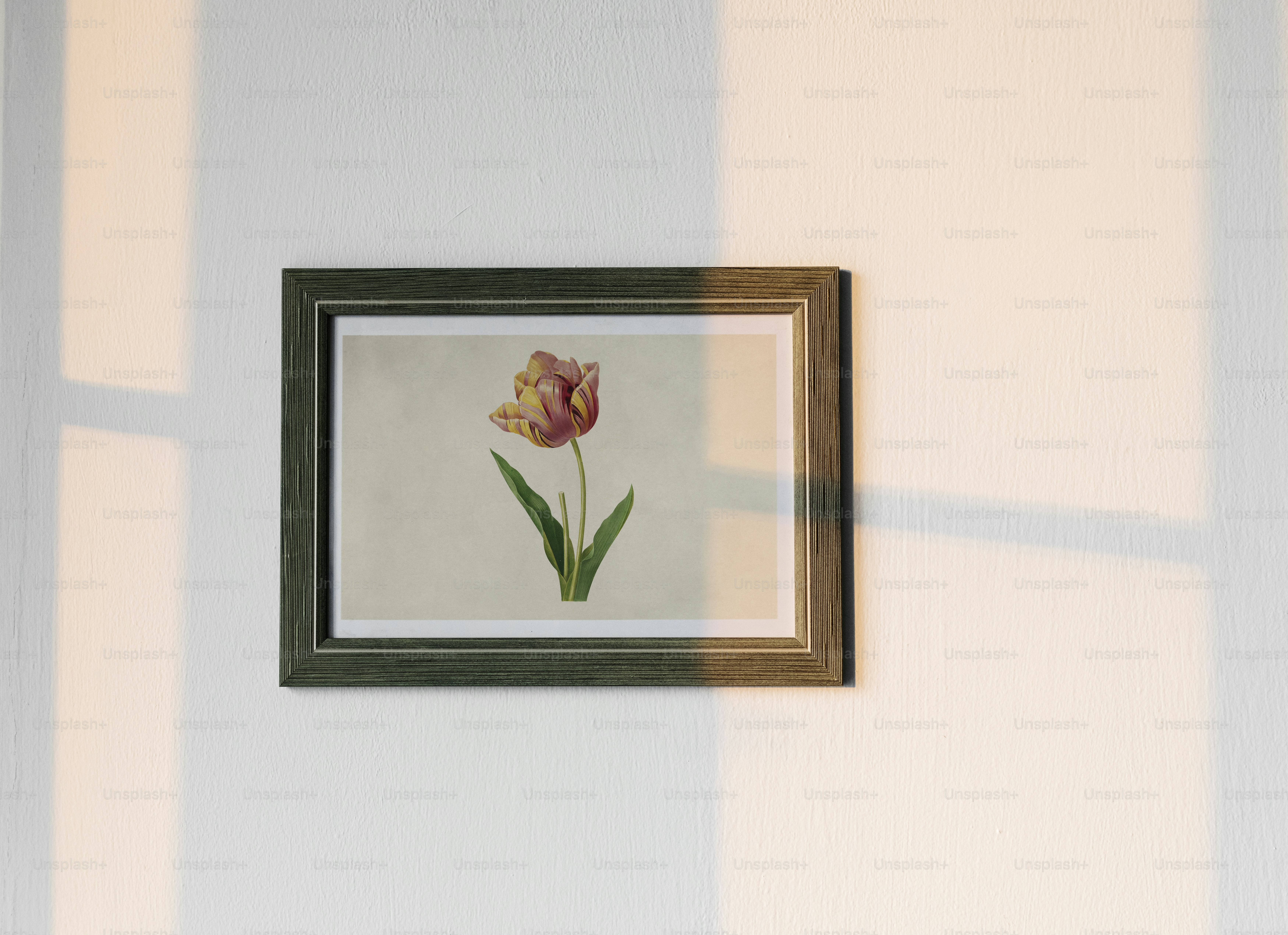 Flower photo frame hanging on white wall ***Documentation proving the ...