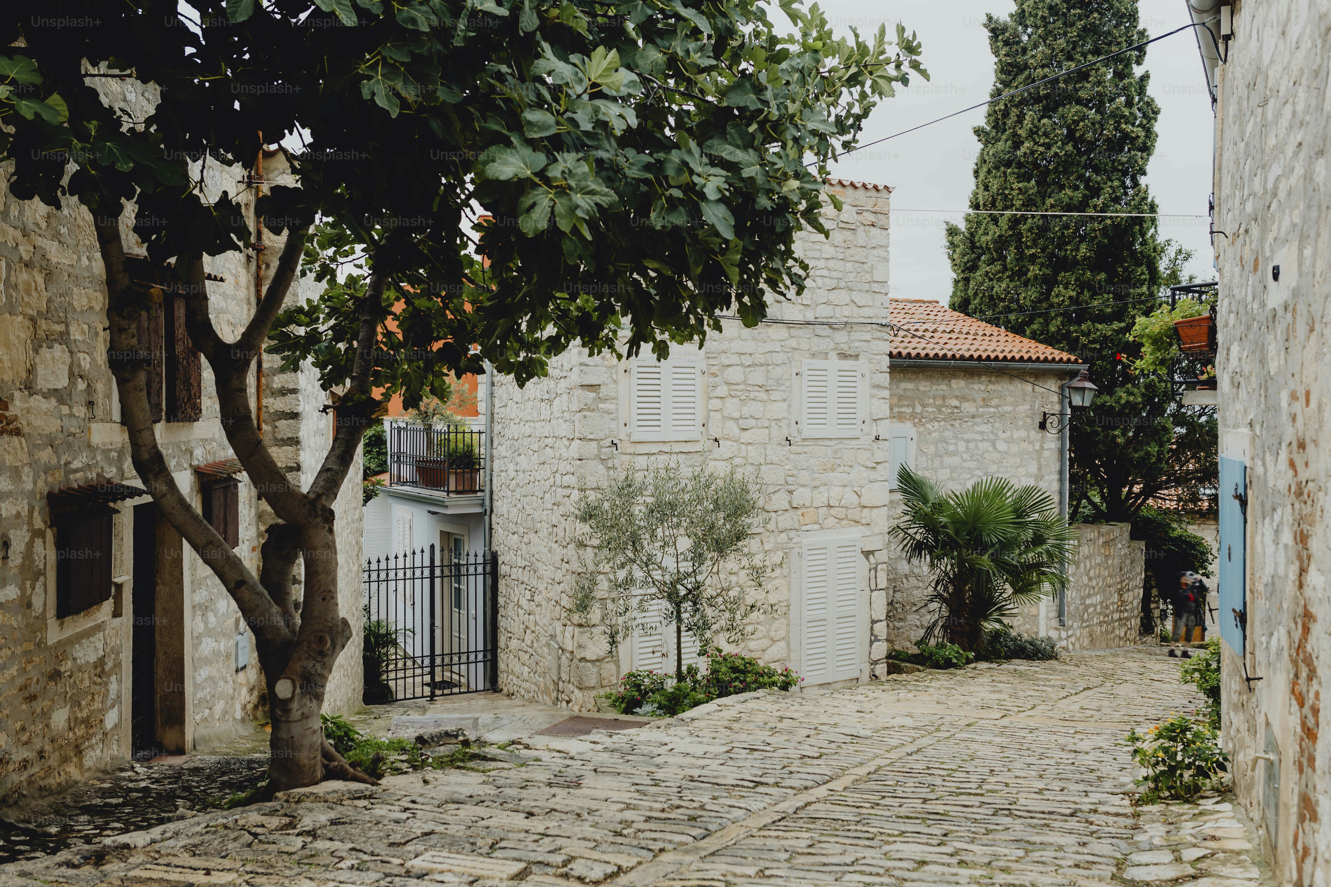 Narrow and bumpy walkway in Croatia photo – Leaf Image on Unsplash