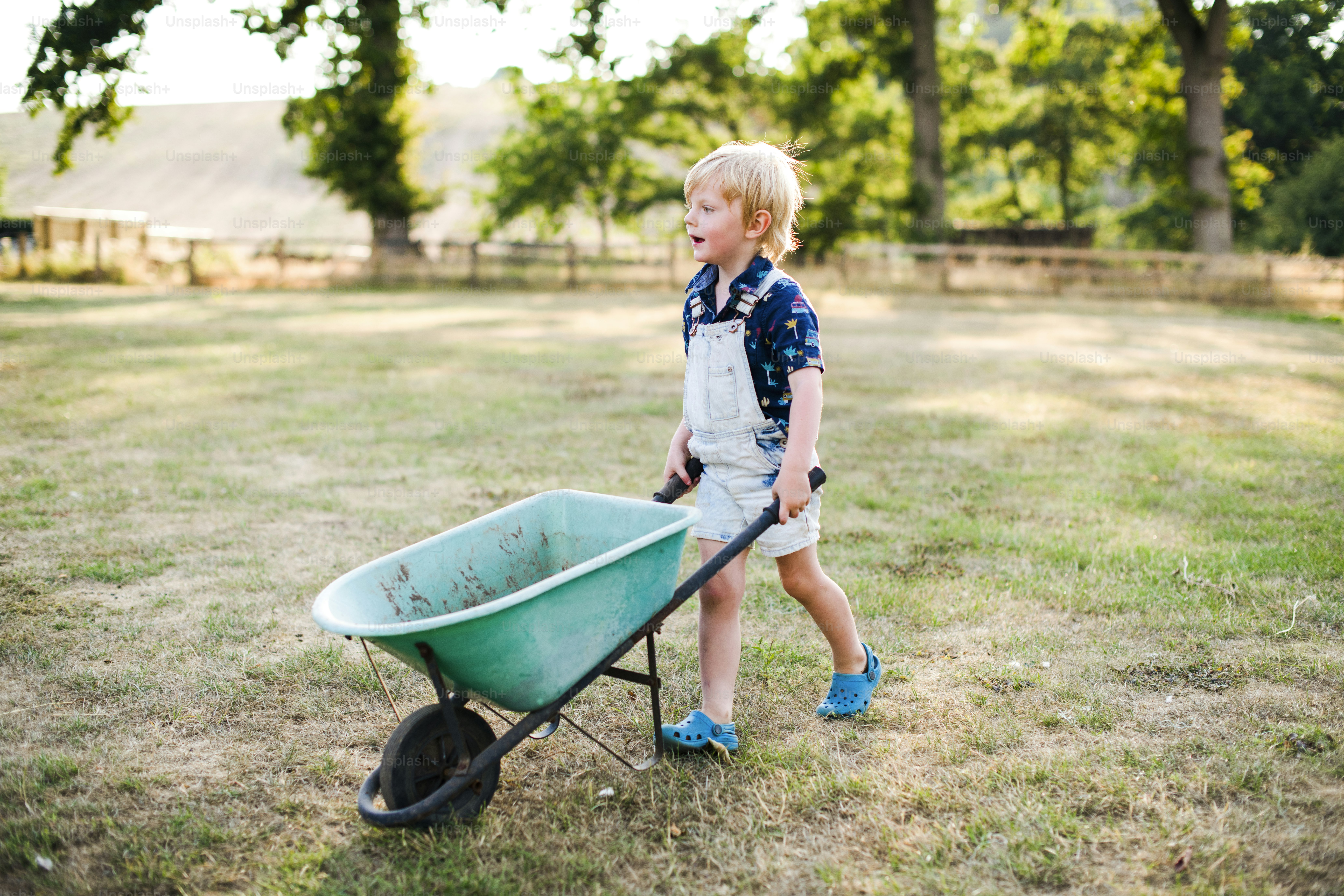 Niño empujando una carretilla foto – Imagen de Solo para niños en Unsplash
