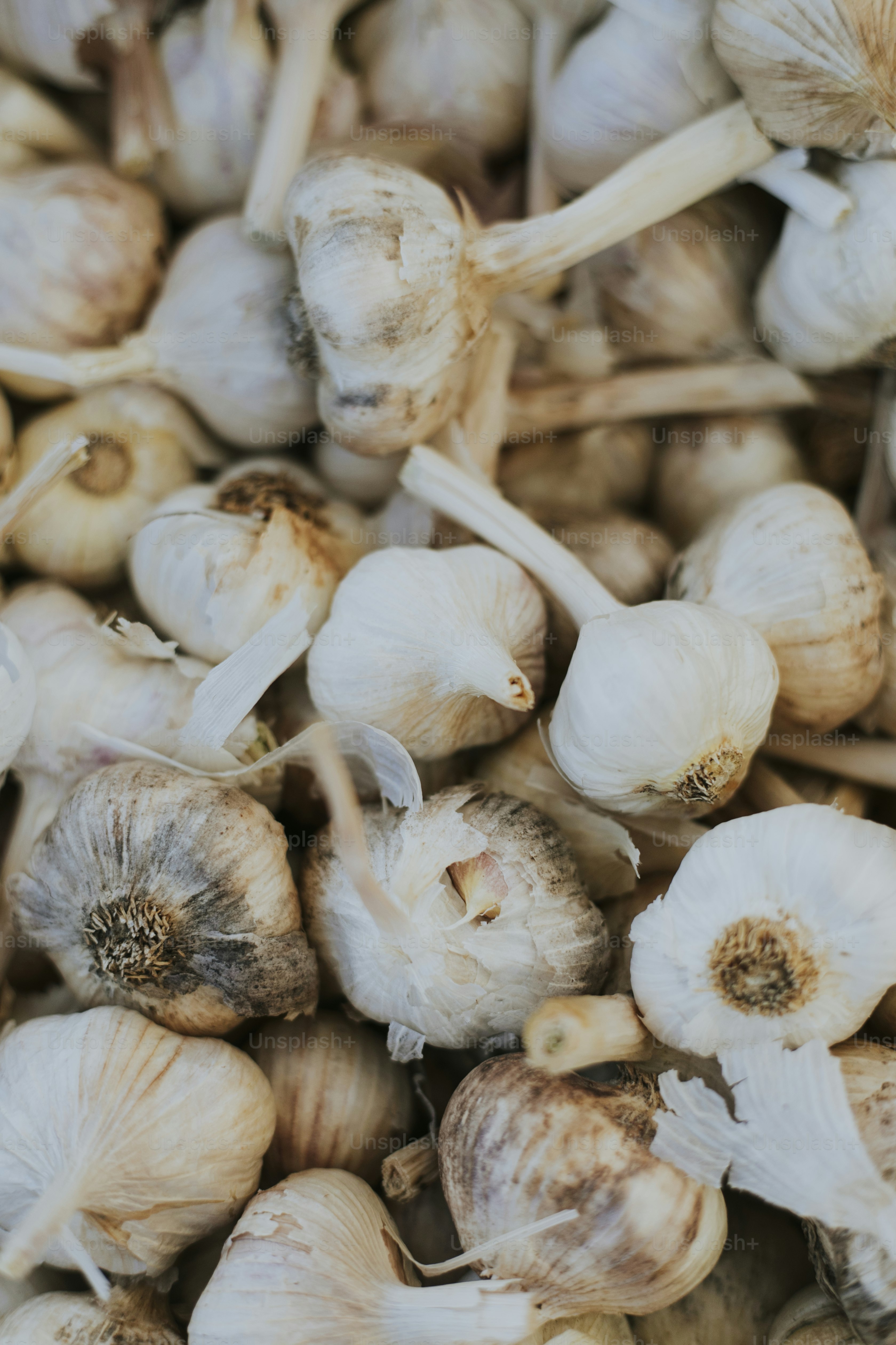 Fresh garlic at a farmers market photo – Texture Image on Unsplash