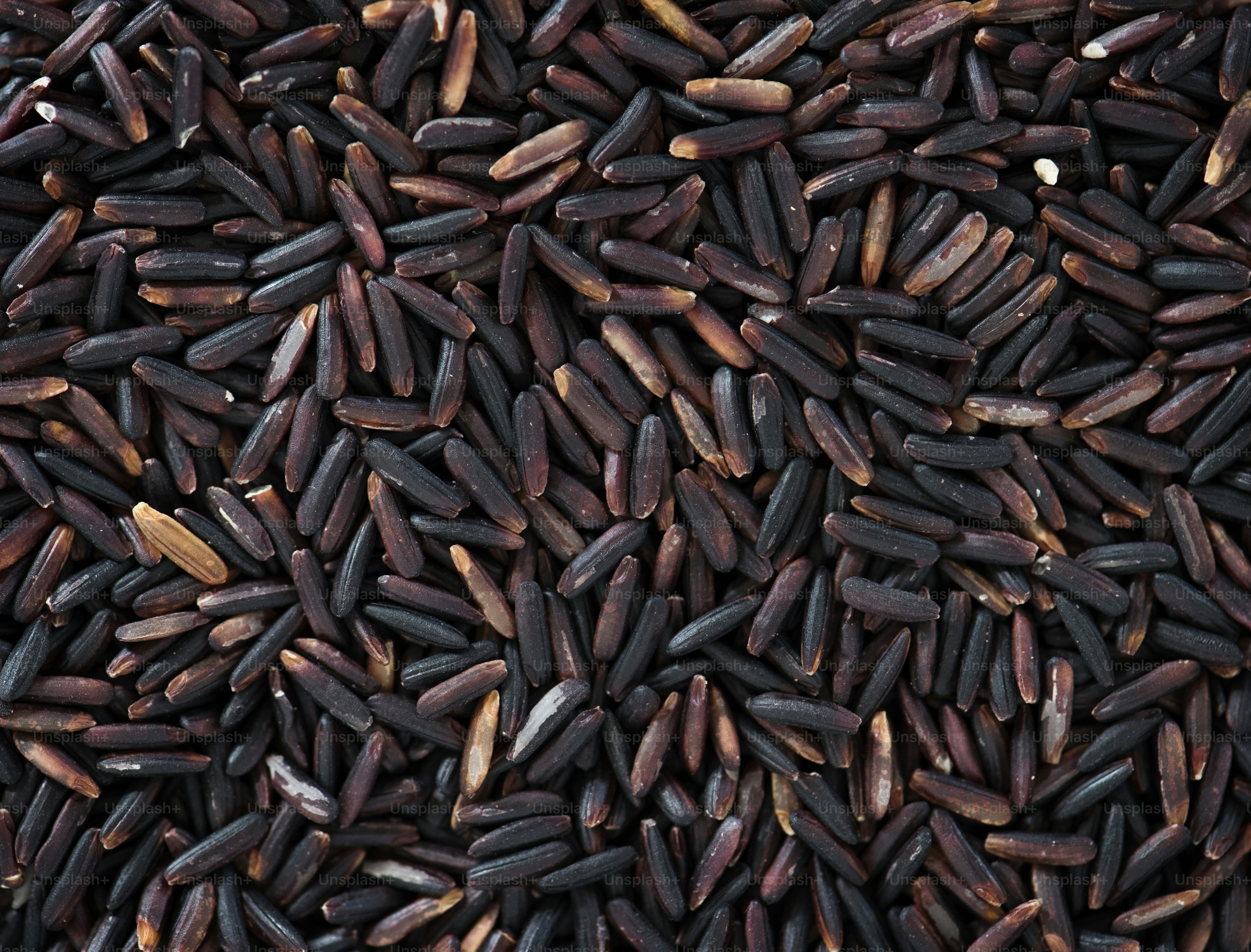 Closeup of black rice texture photo – Antioxidant Image on Unsplash