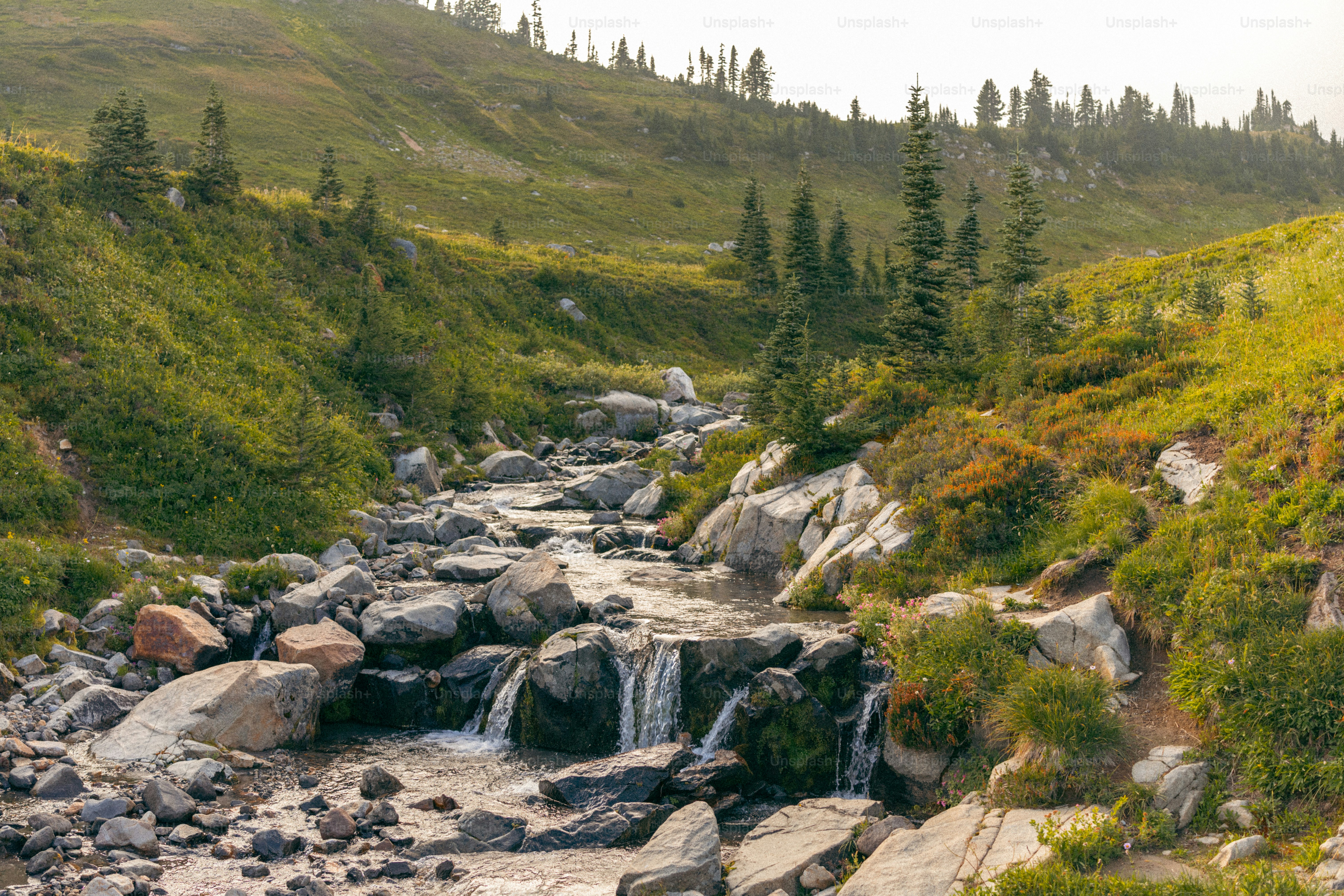 A stream running through a lush green hillside photo – Outdoors Image ...