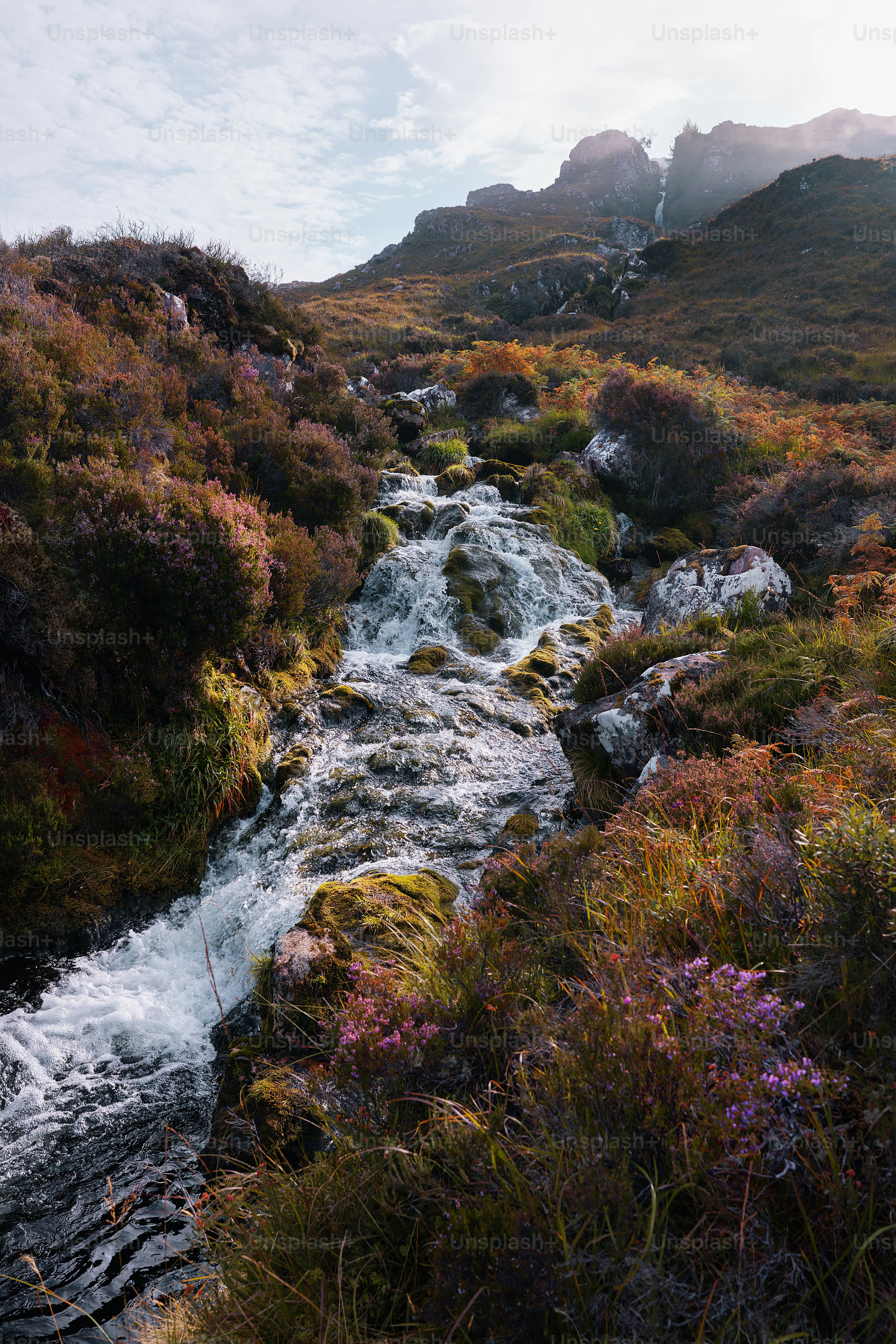 A stream running through a lush green hillside photo – Flowers Image on ...