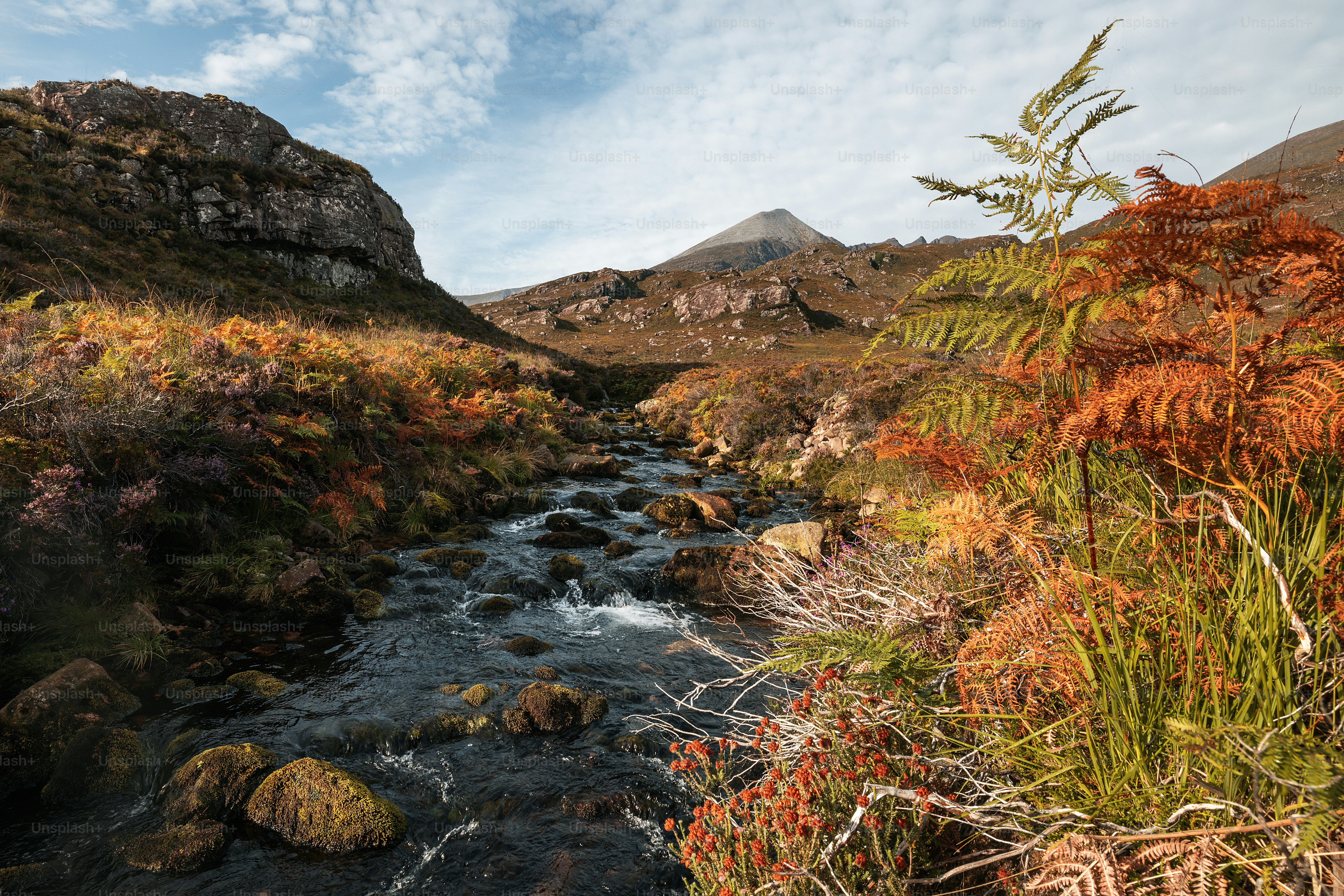 A stream running through a lush green hillside photo – Background Image ...