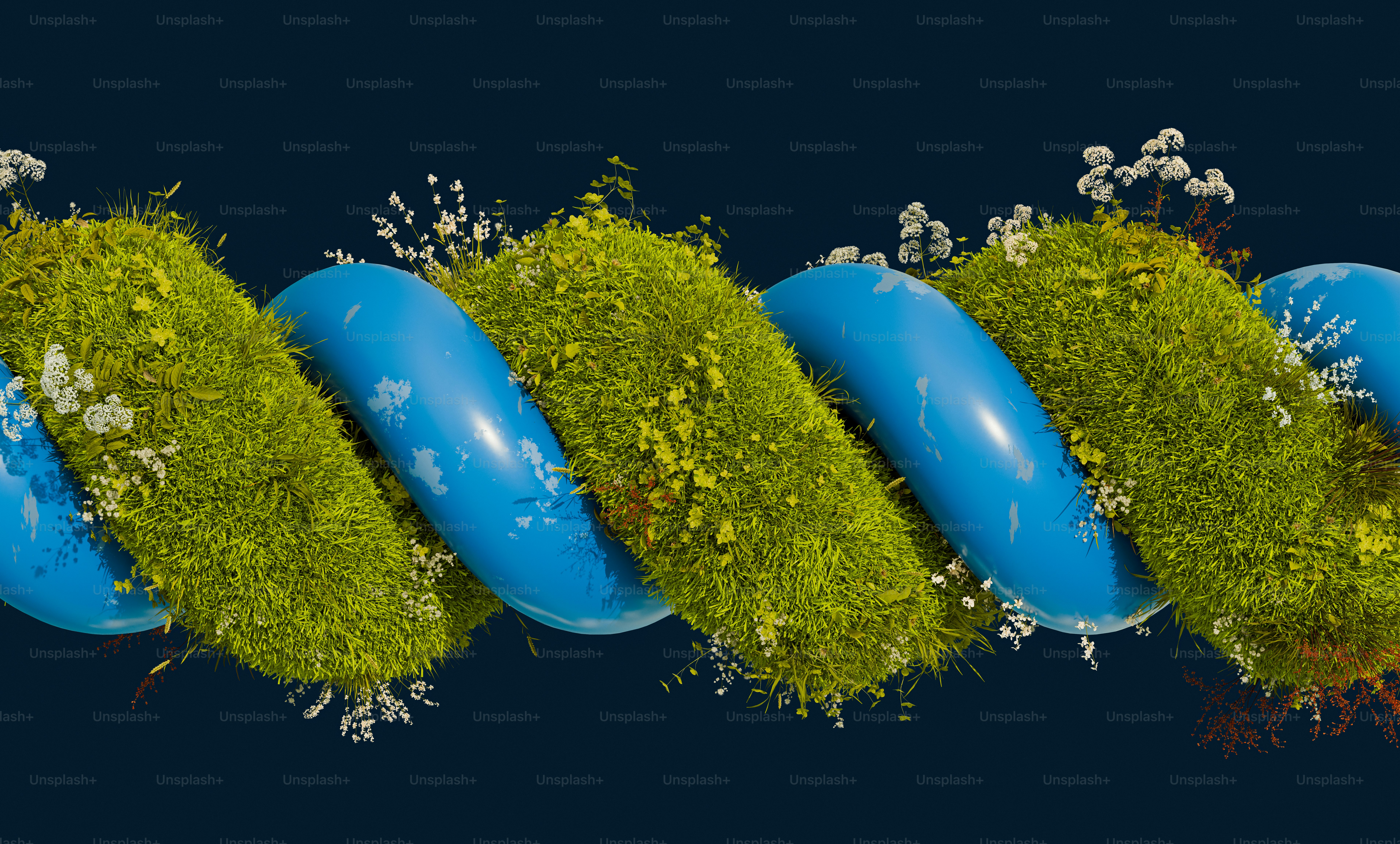 A row of grass with a blue object in the middle of it photo – Eco ...
