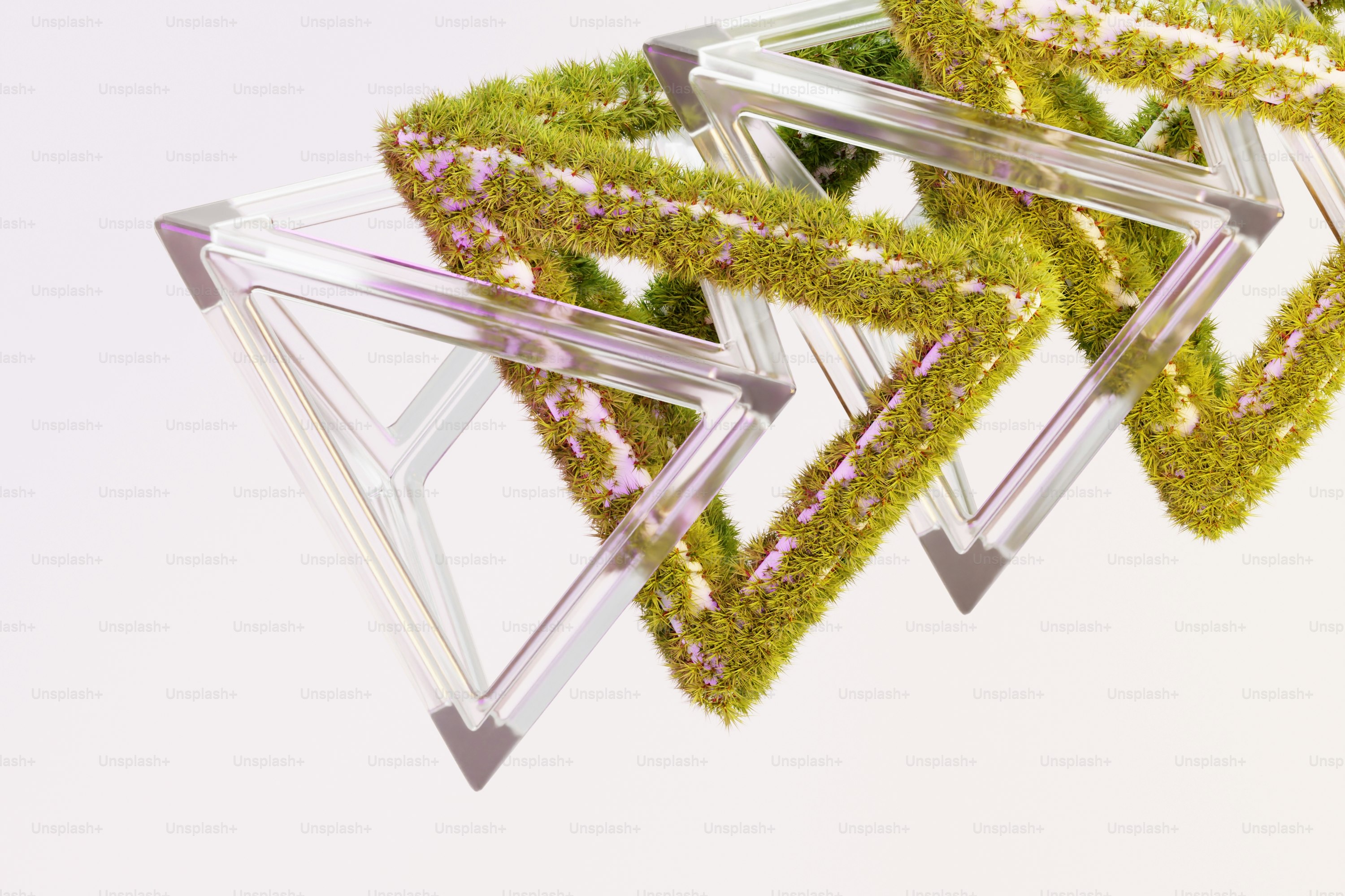 A group of green objects that are on a white surface photo – Organic ...