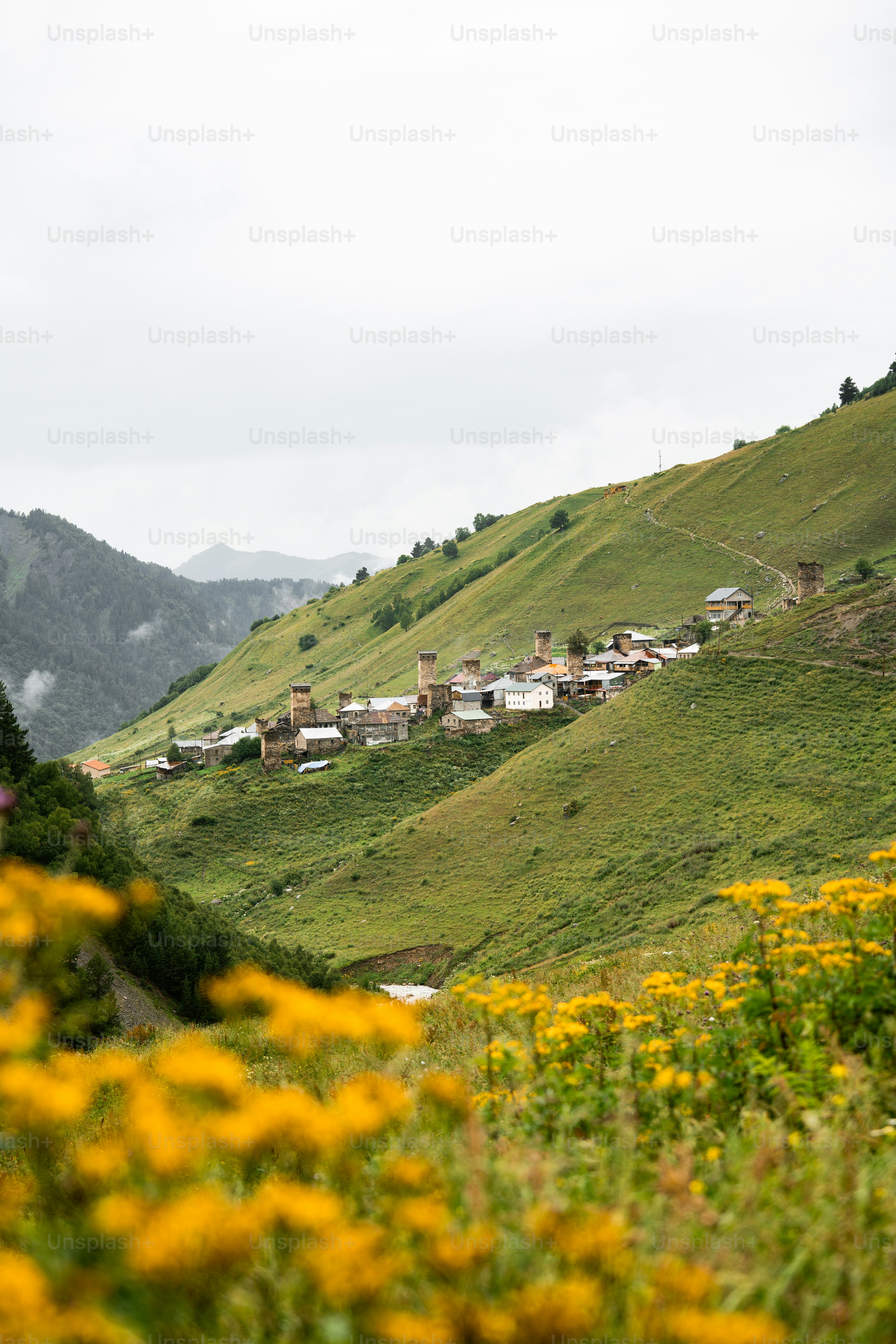 A view of a small town on a hill photo – Green space Image on Unsplash