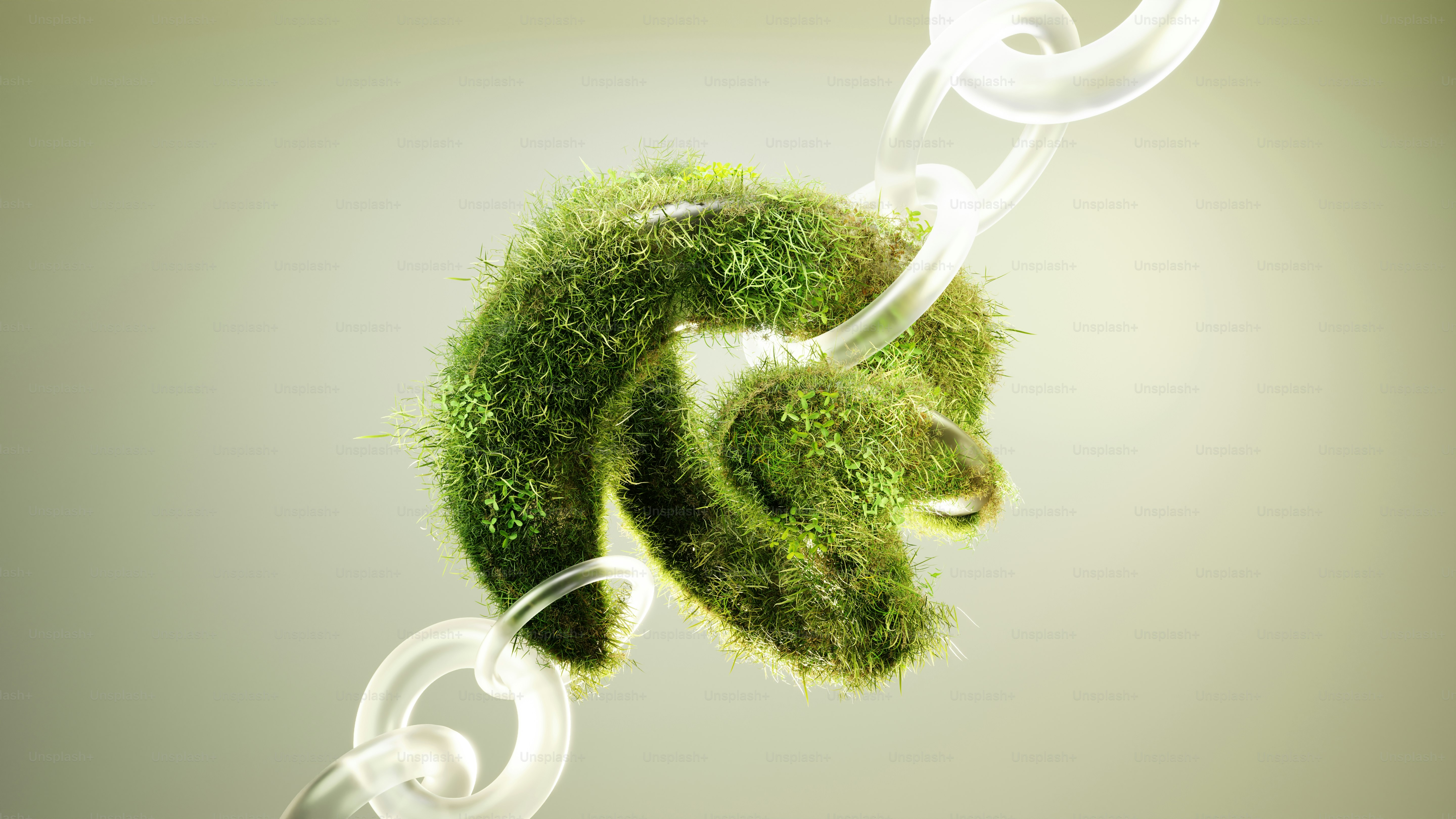 Sustain Pictures | Download Free Images on Unsplash