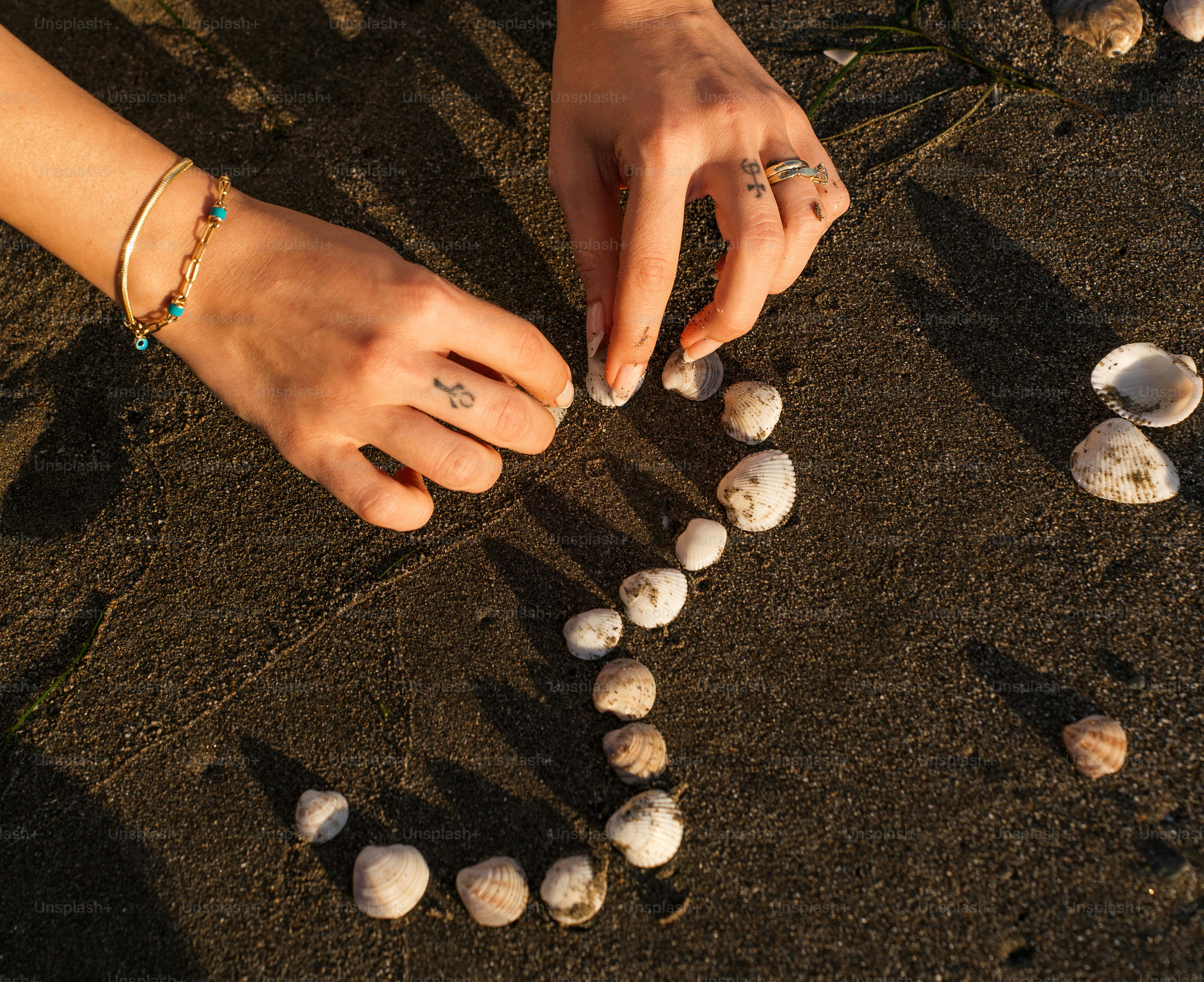 A person standing over a bunch of shells photo – Arranging things Image ...