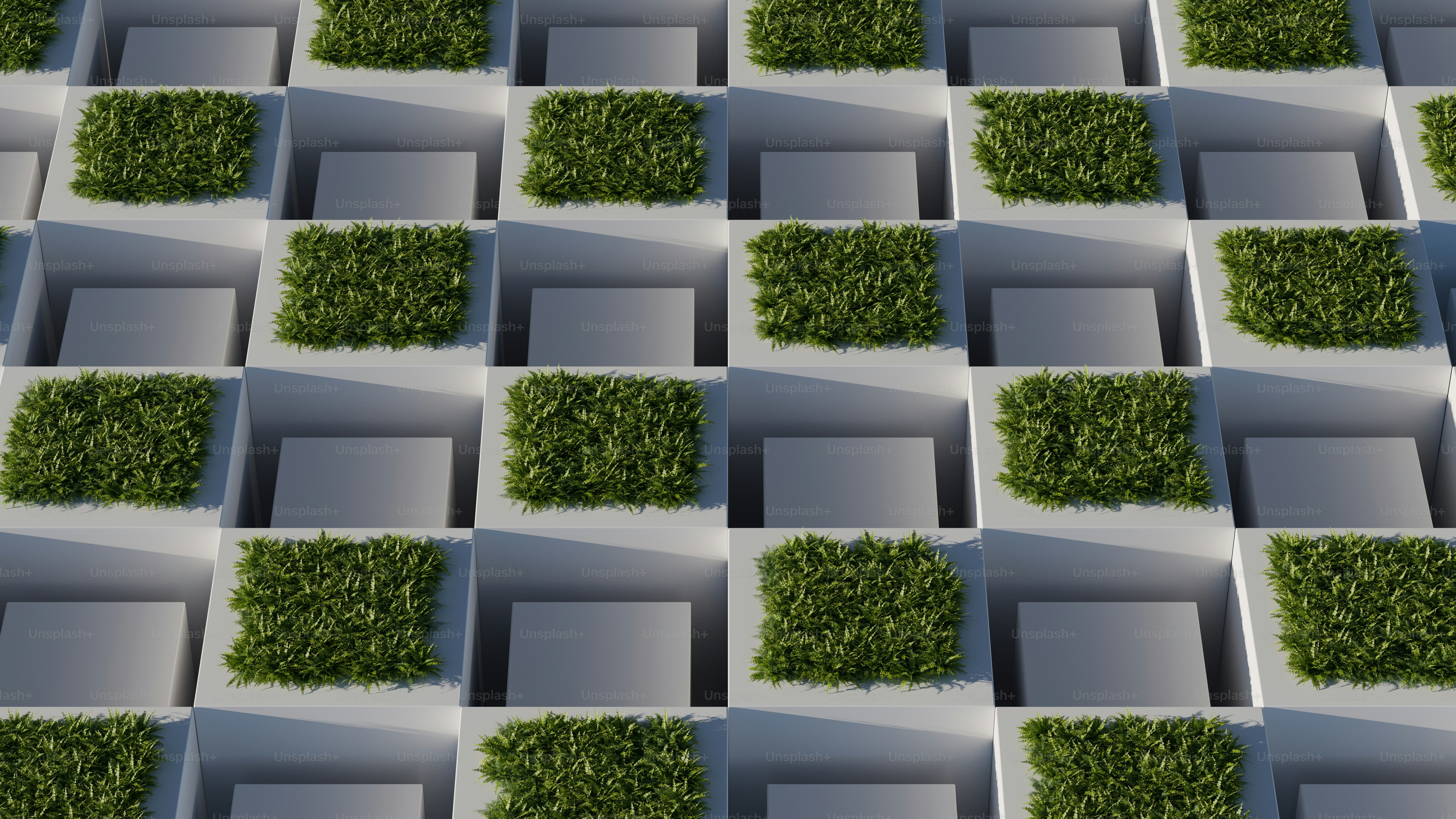 A series of cubes with grass growing out of them photo – Ecological ...