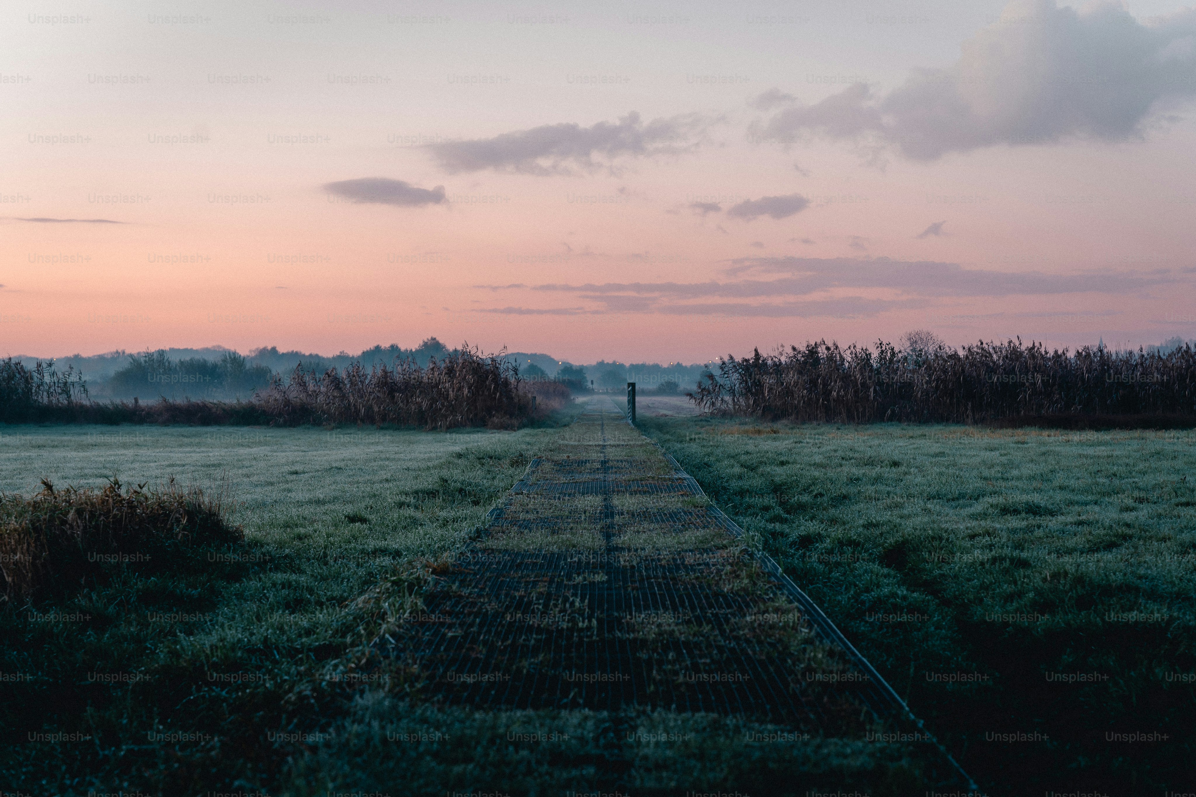 A train track in the middle of a field photo – Dreamy Image on Unsplash