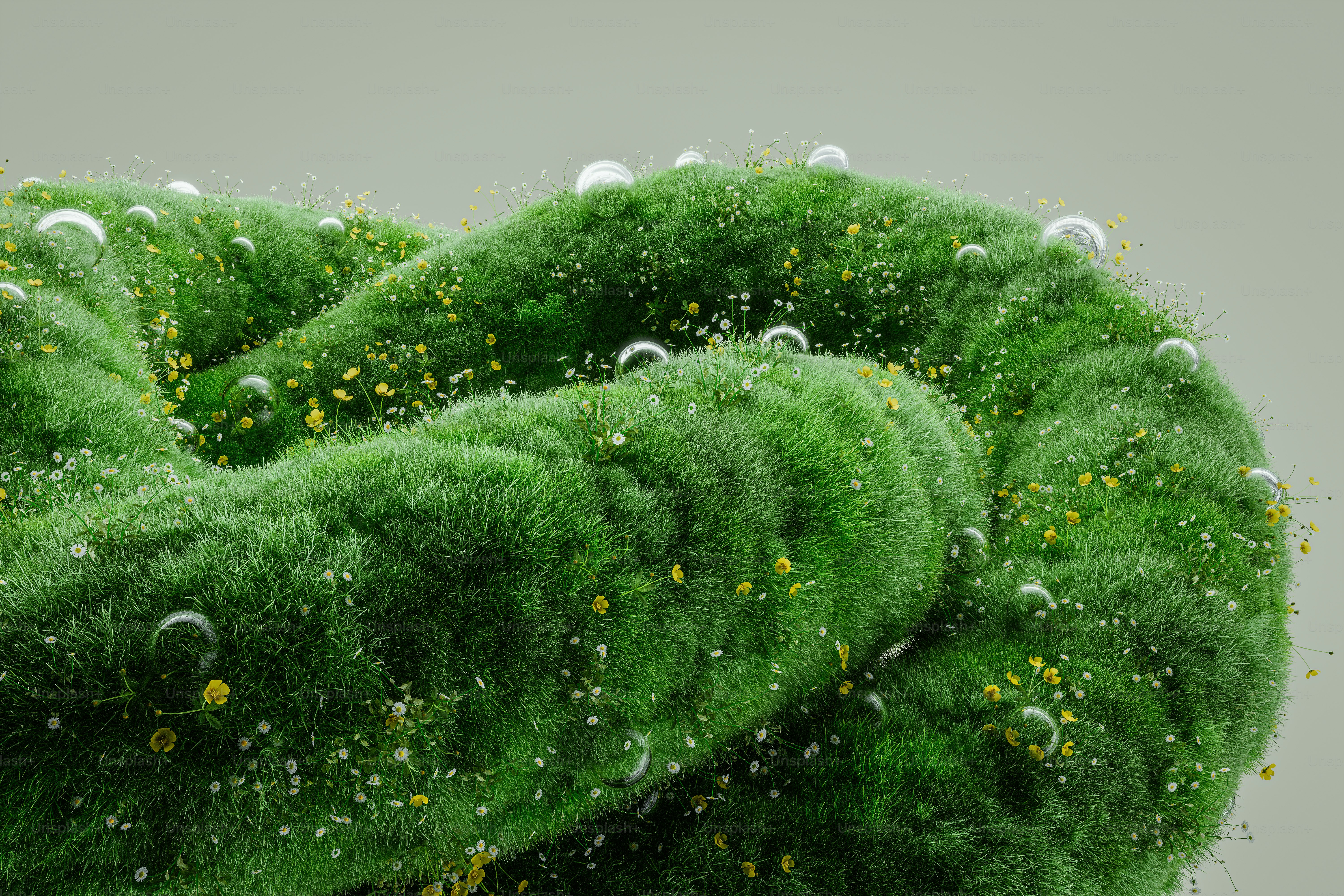 A close up of a green object with water droplets on it photo ...