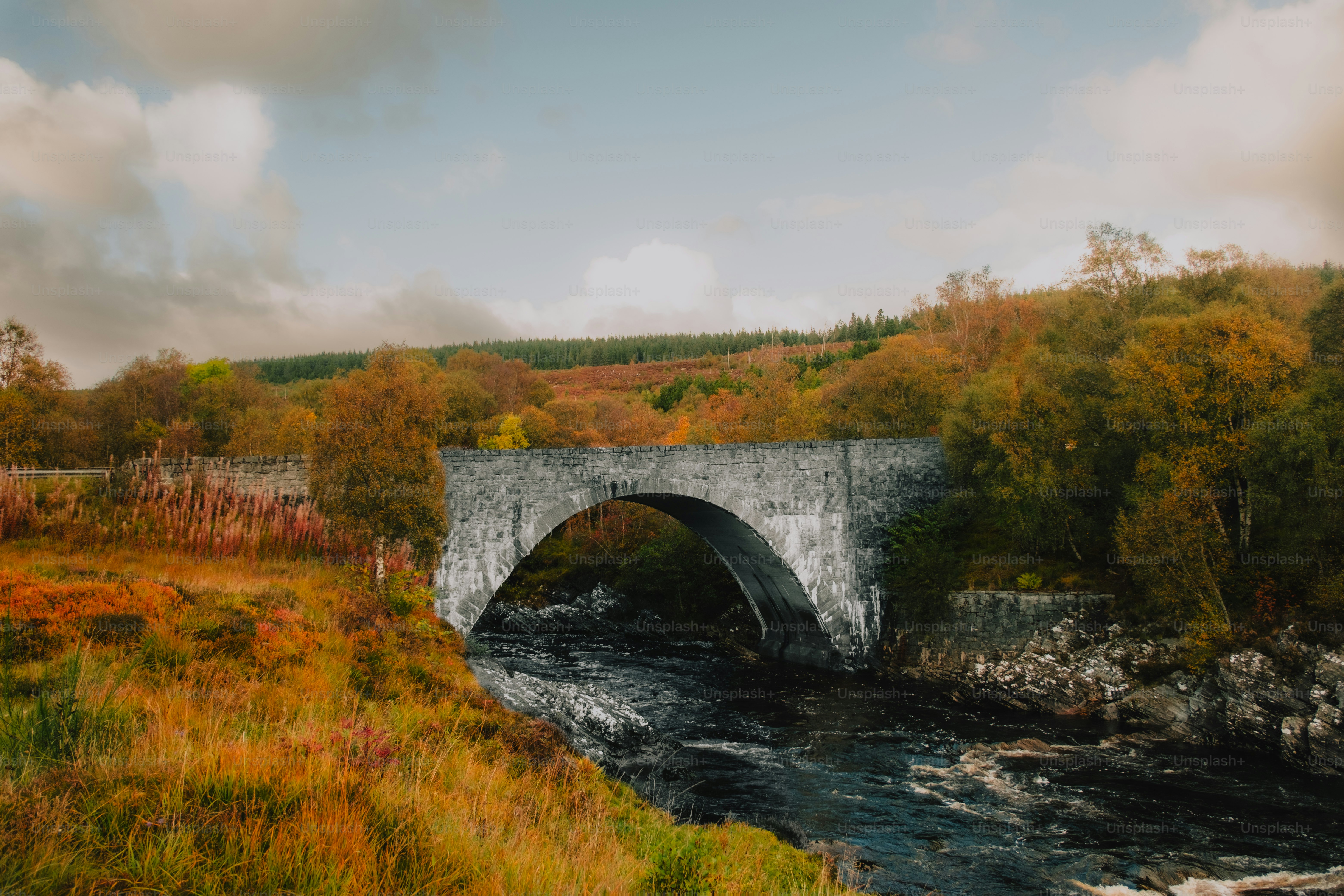 A stone bridge over a road surrounded by trees photo – Road Image on ...