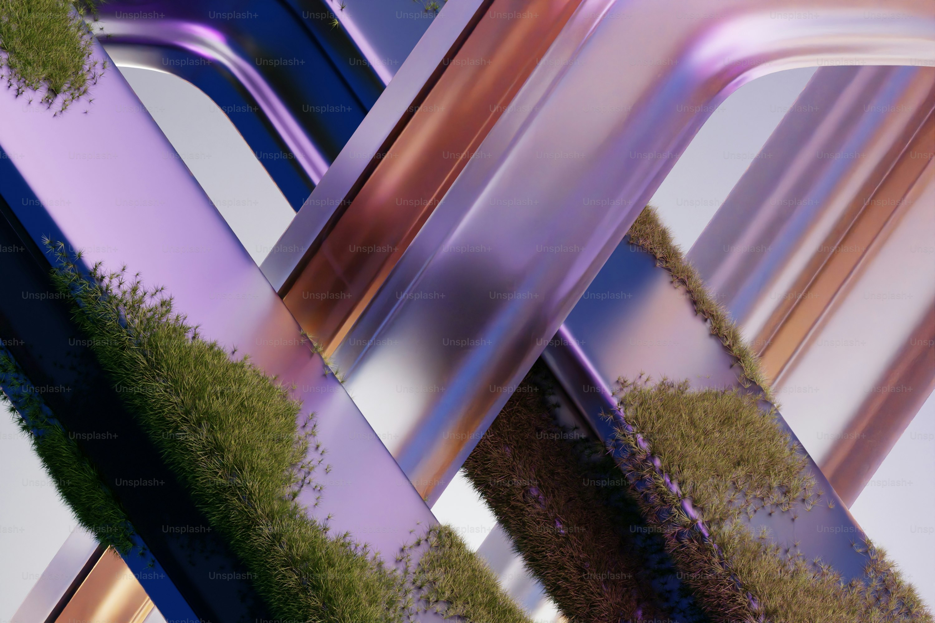 A group of windows with grass growing out of them photo – Natural Image ...