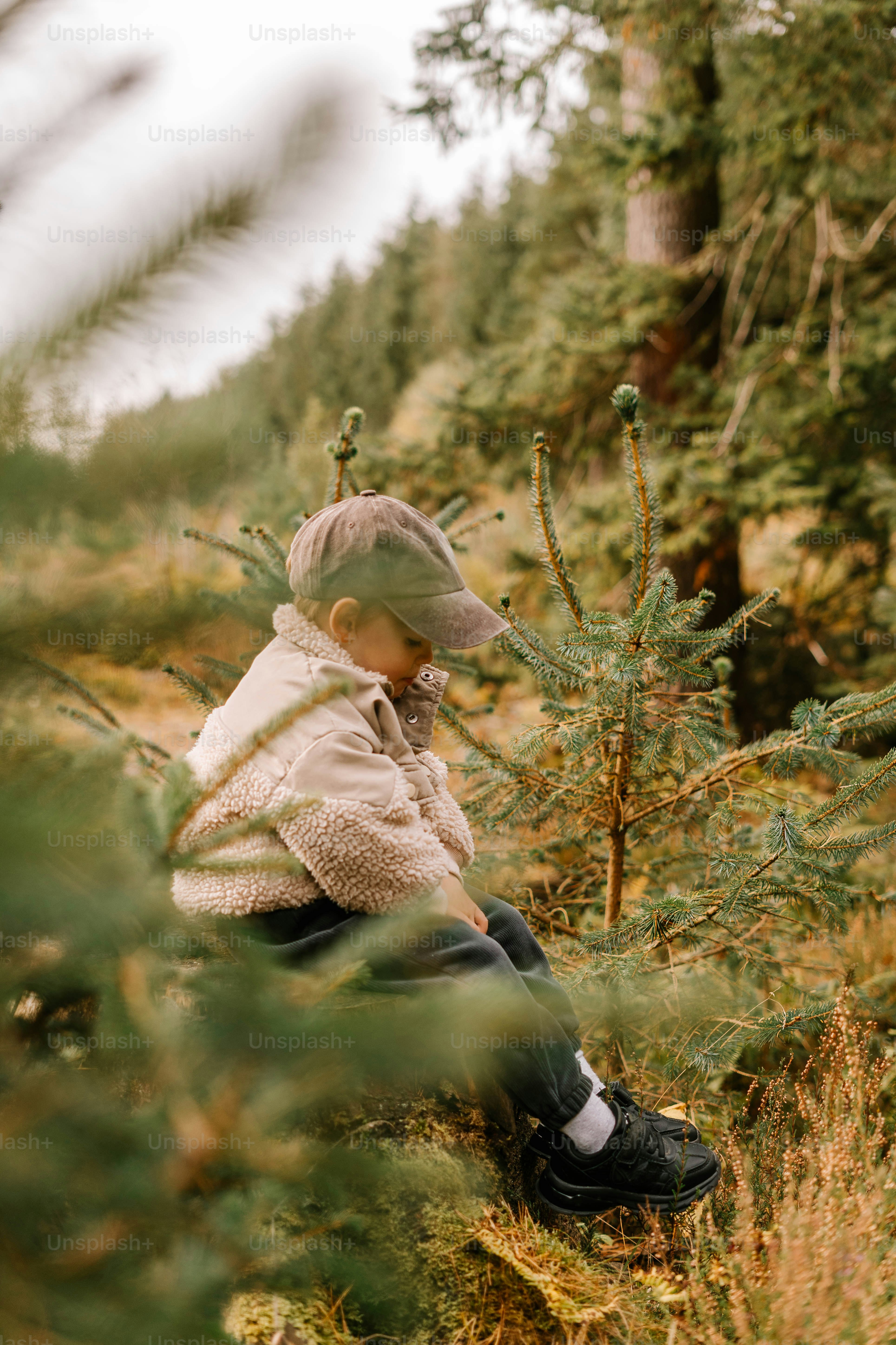A little boy sitting on a tree in a forest photo – Lifestyle Image on ...