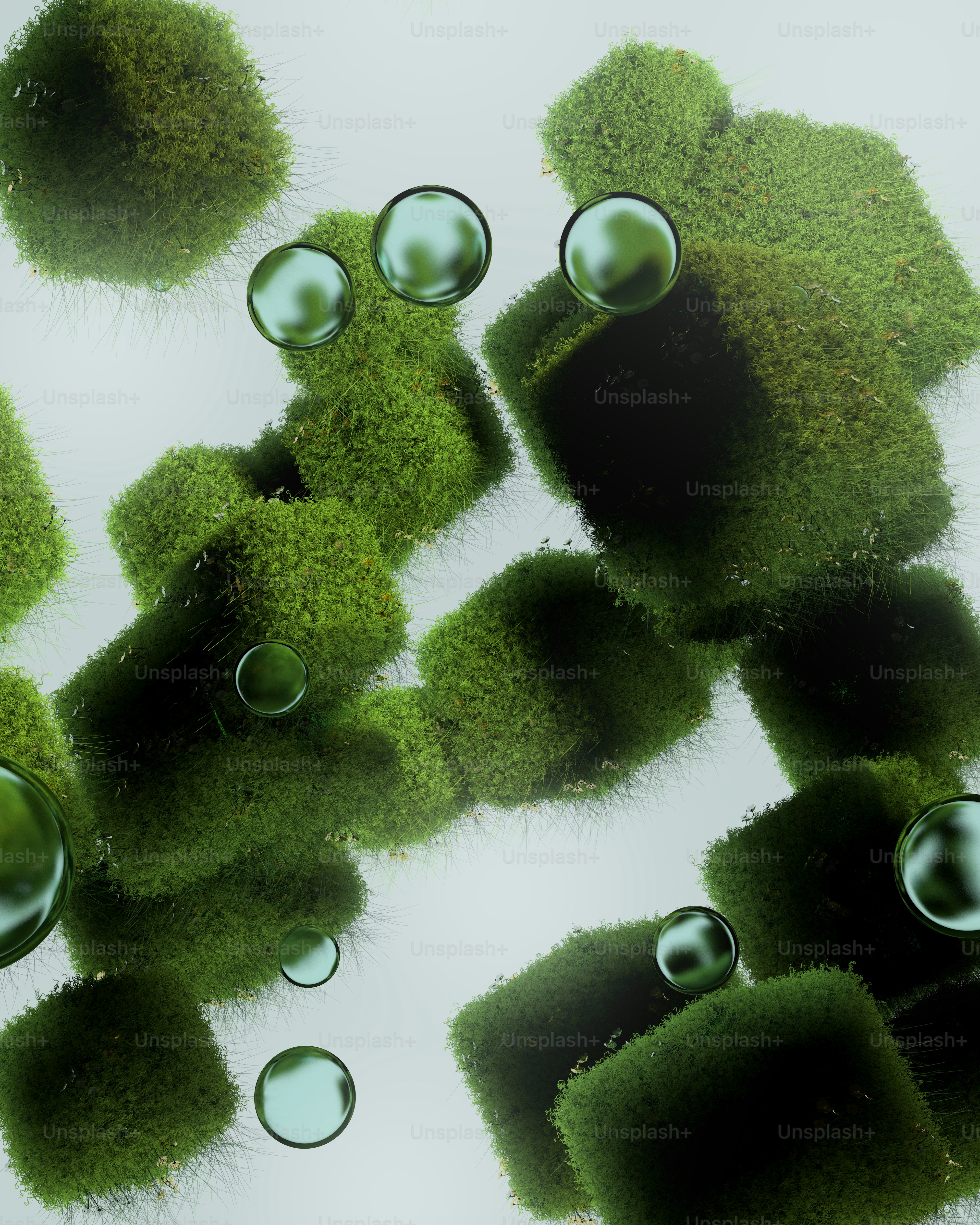 A group of green plants with bubbles of water photo – Ecological Image ...