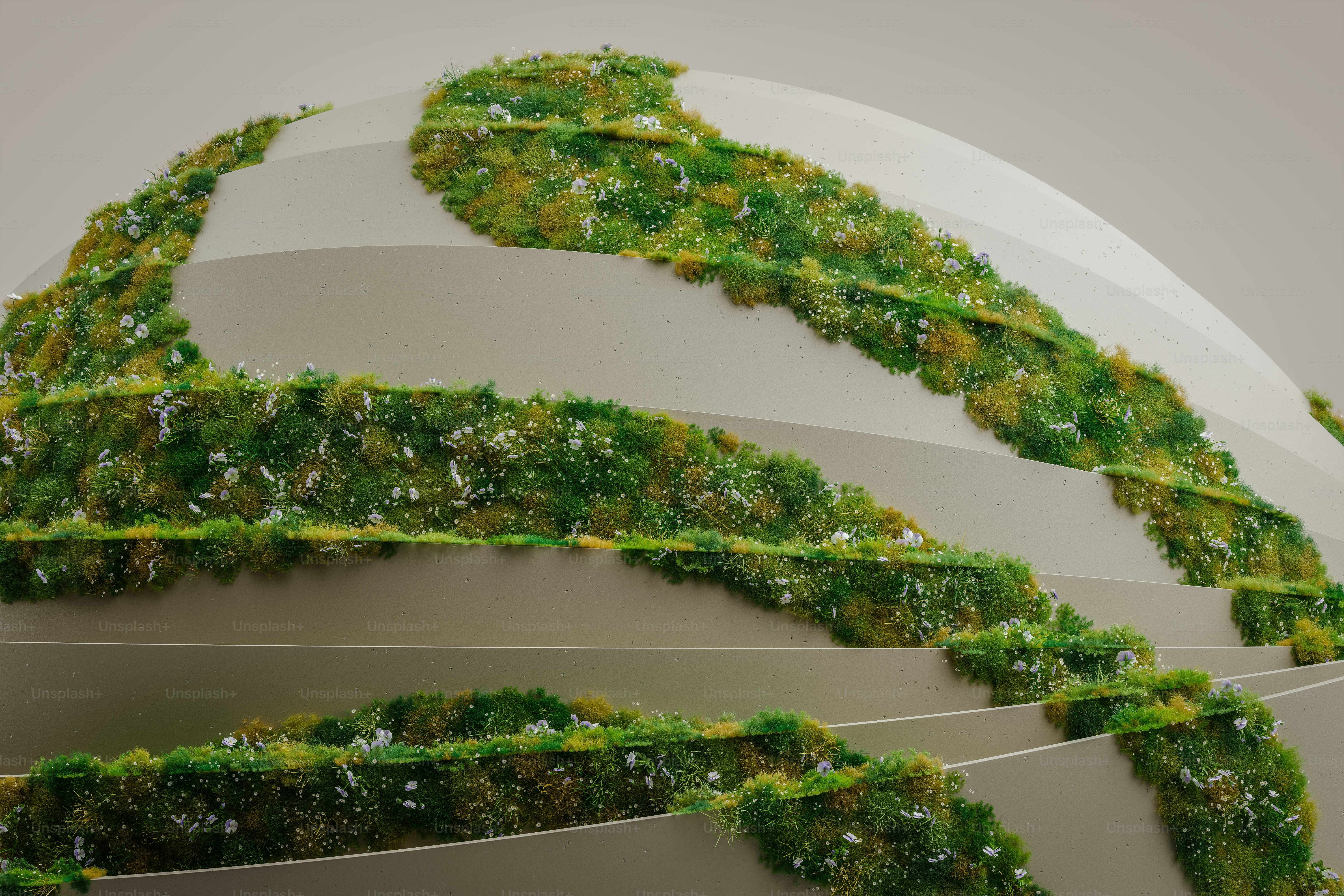 Sustainability Background Pictures | Download Free Images on Unsplash