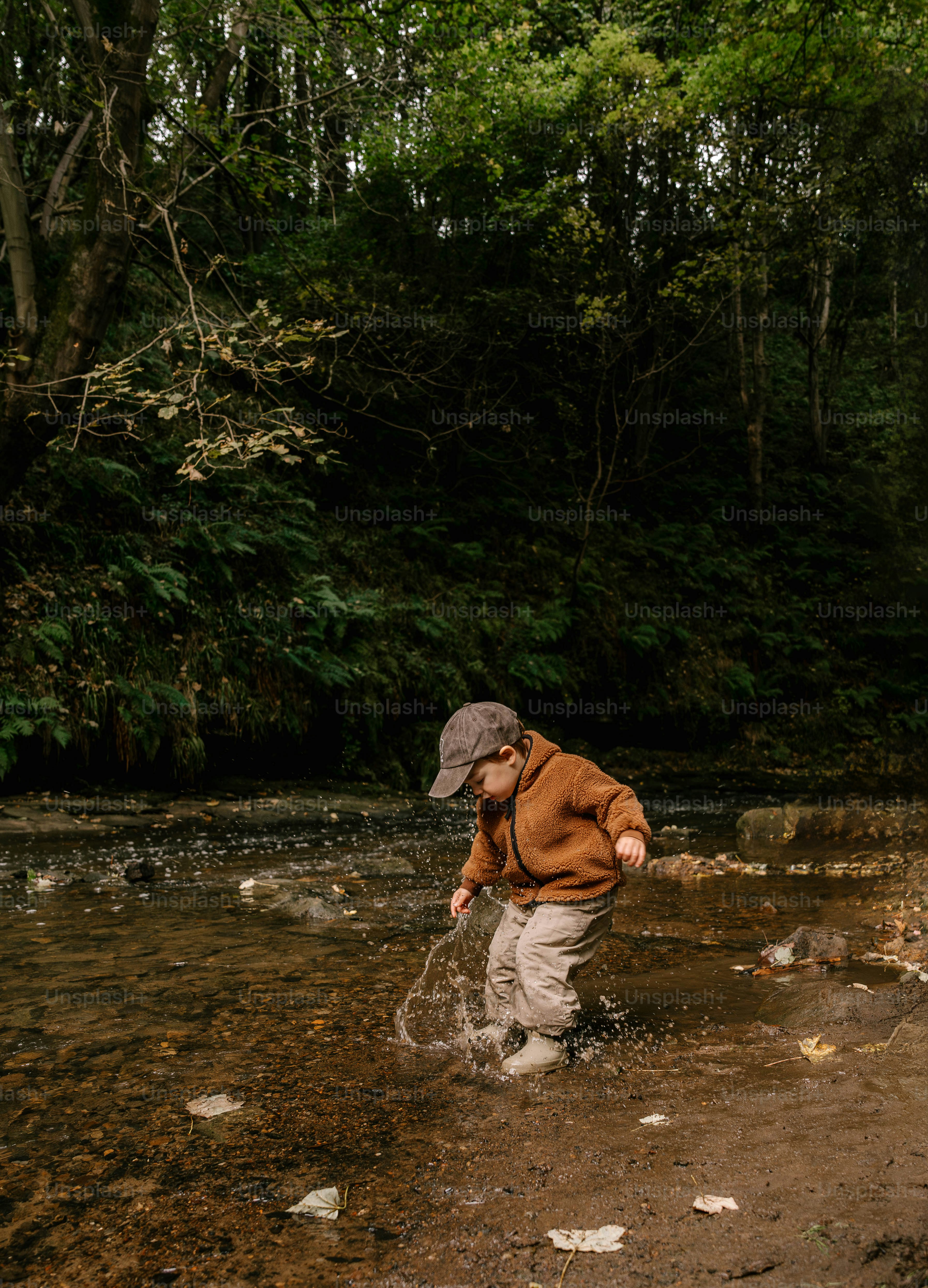 A young boy wading through a stream in the woods photo – Autumn Image ...
