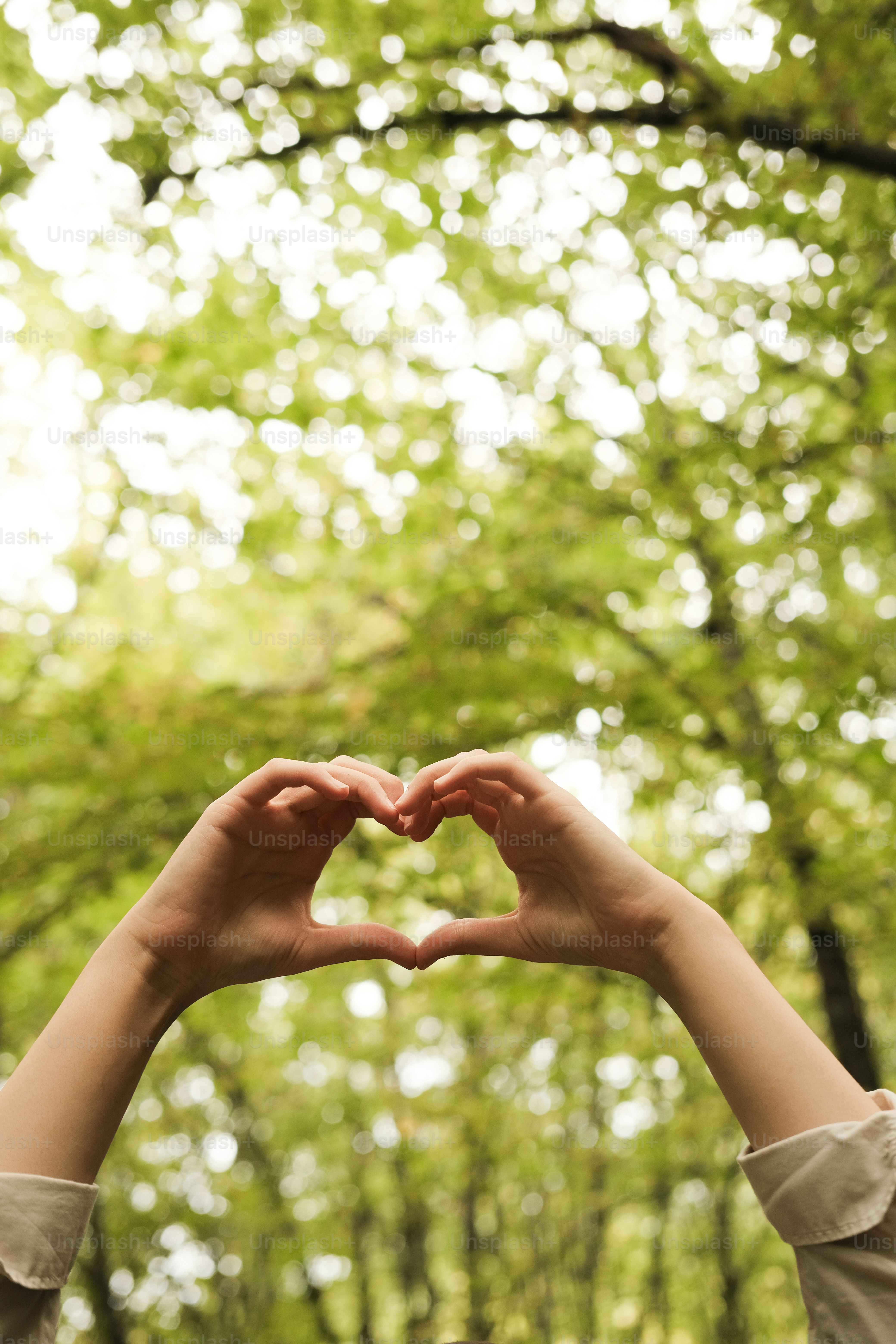 A person making a heart shape with their hands photo – Hand Image on ...