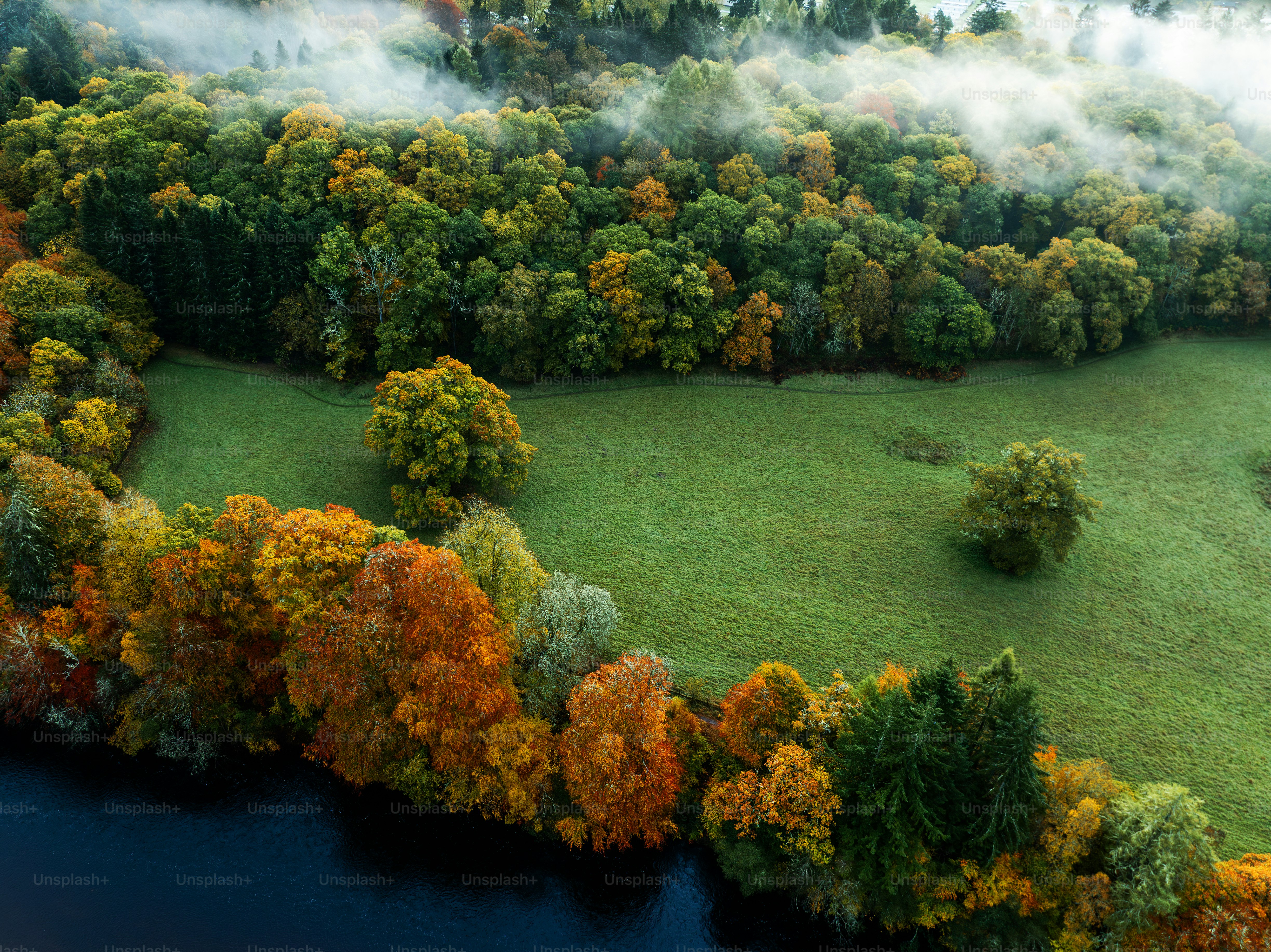 Forest Birds Eye View Hidden River, Bird's Eye View New Jersey Aerial