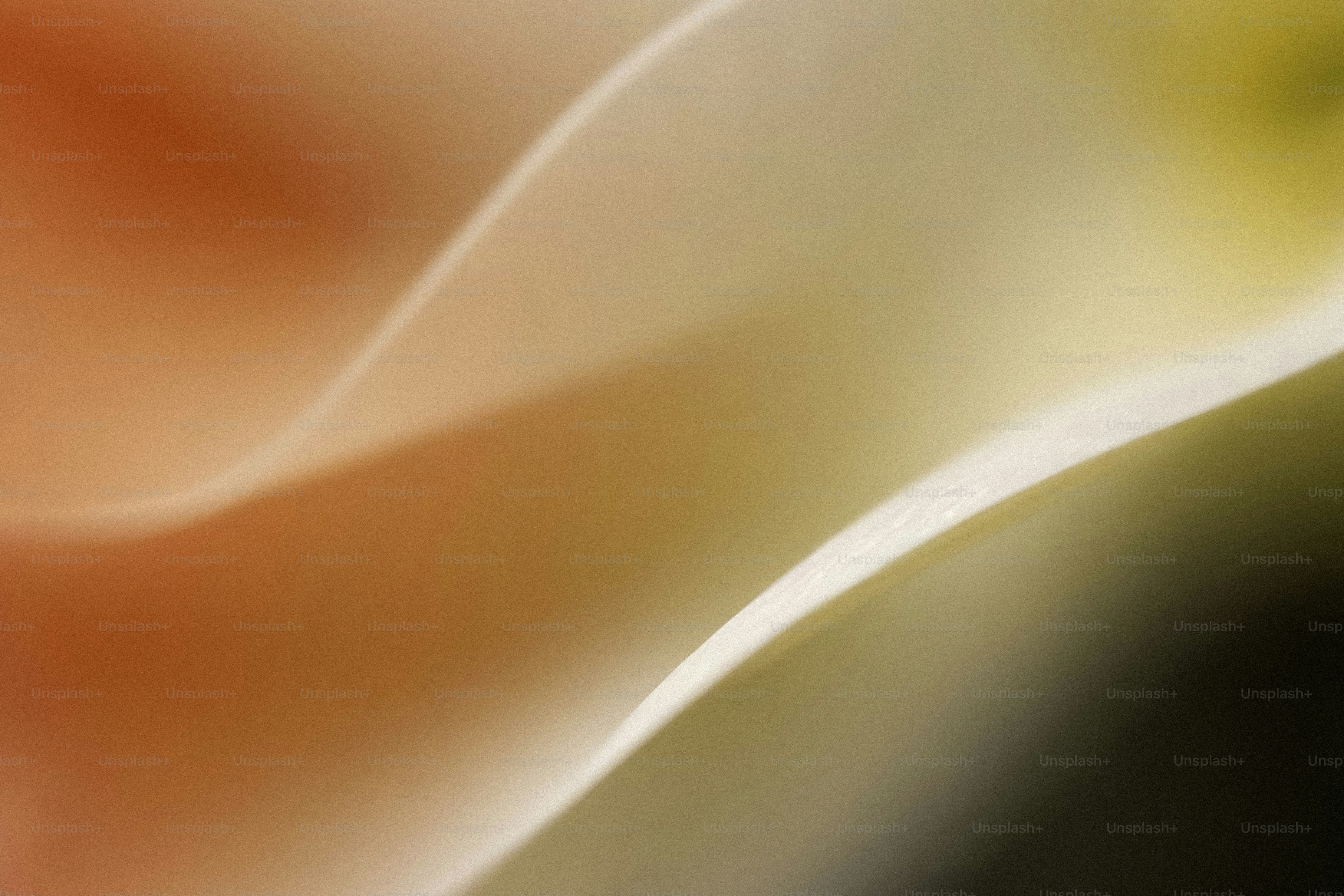 Foto Gambar buram dari bunga oranye dan kuning – Gambar Bunga di Unsplash