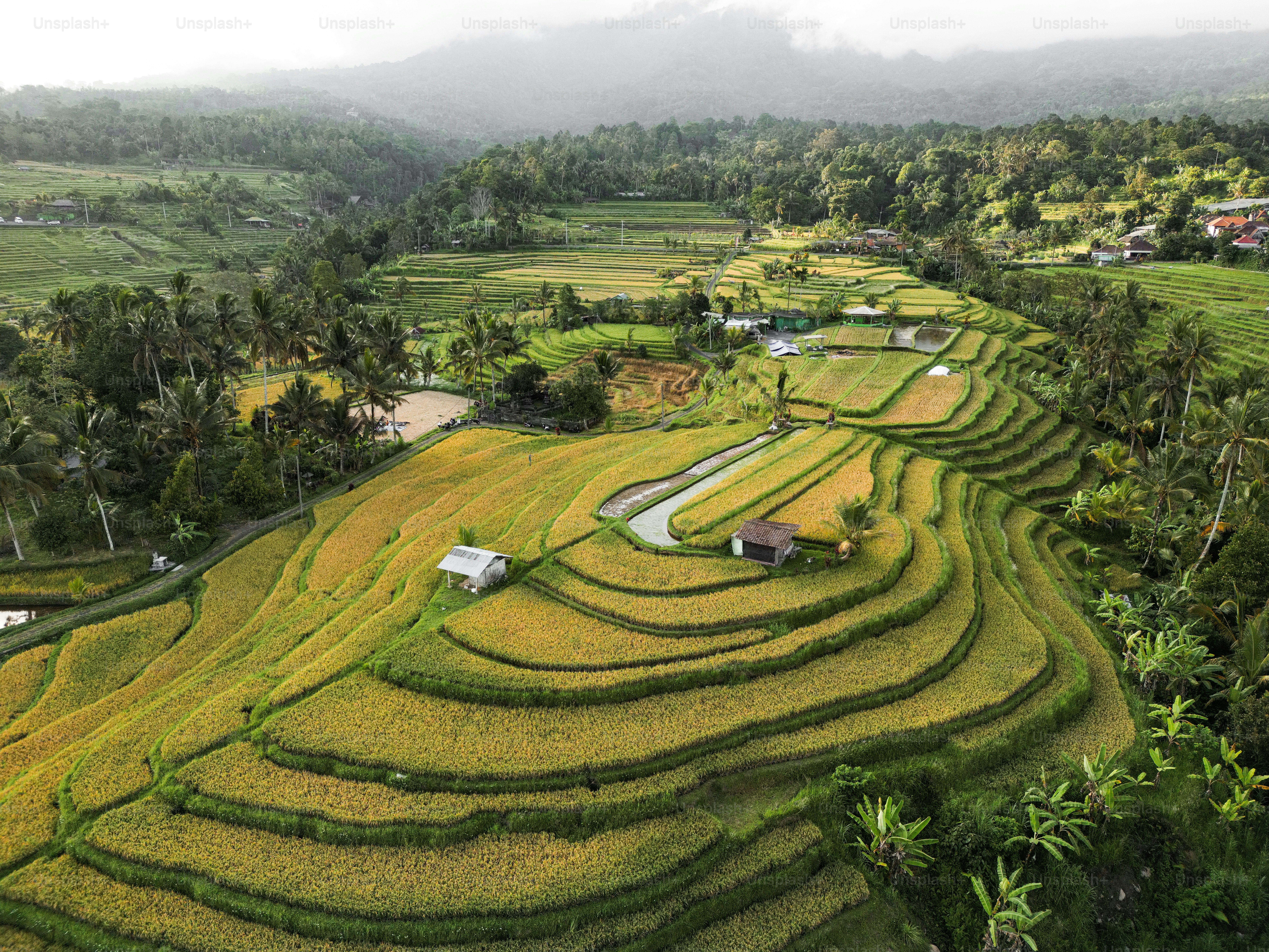 An aerial view of a rice field in the philippines photo – Bali Image on ...