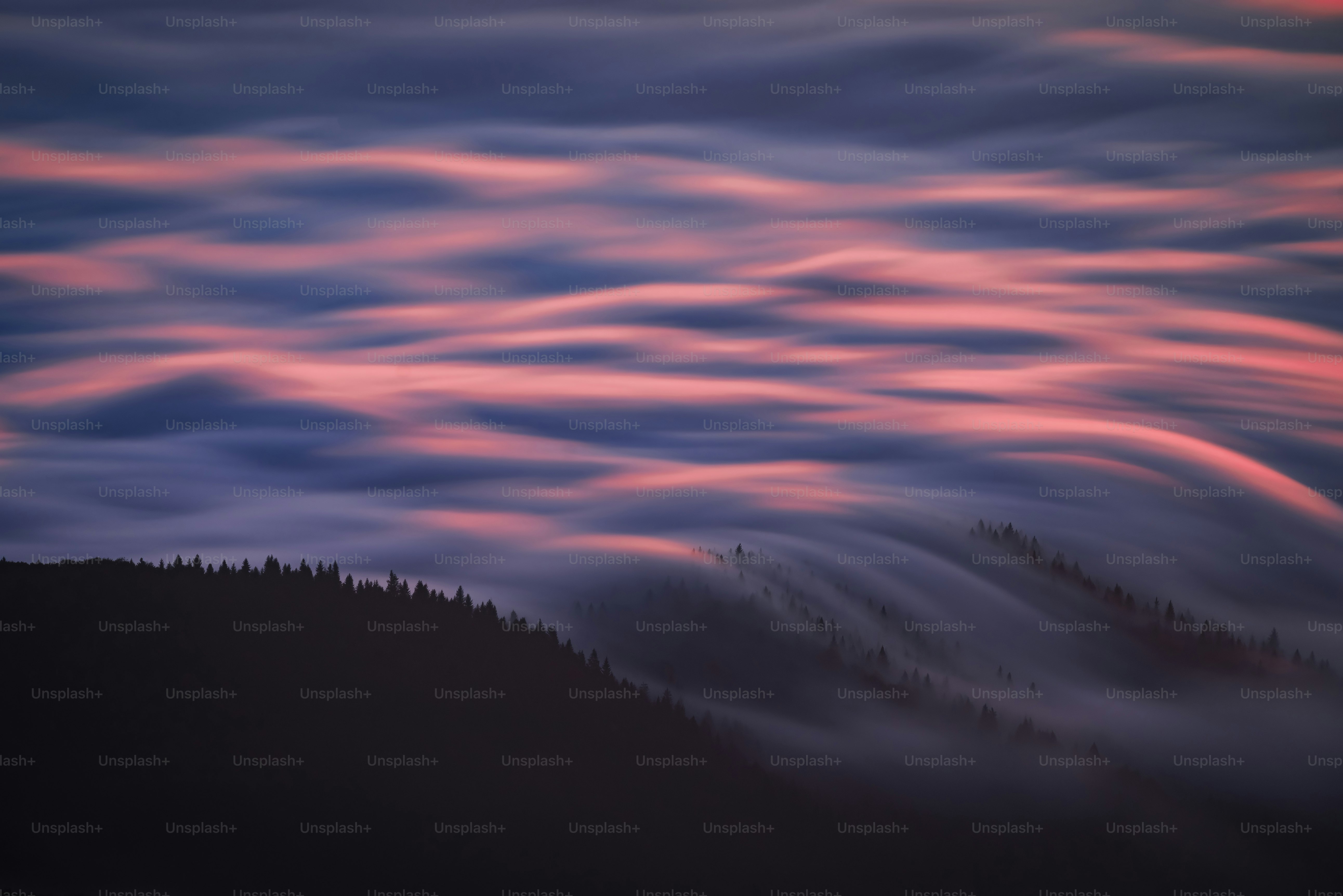 Daniel Mirlea (@danielmirlea) | Unsplash Photo Community