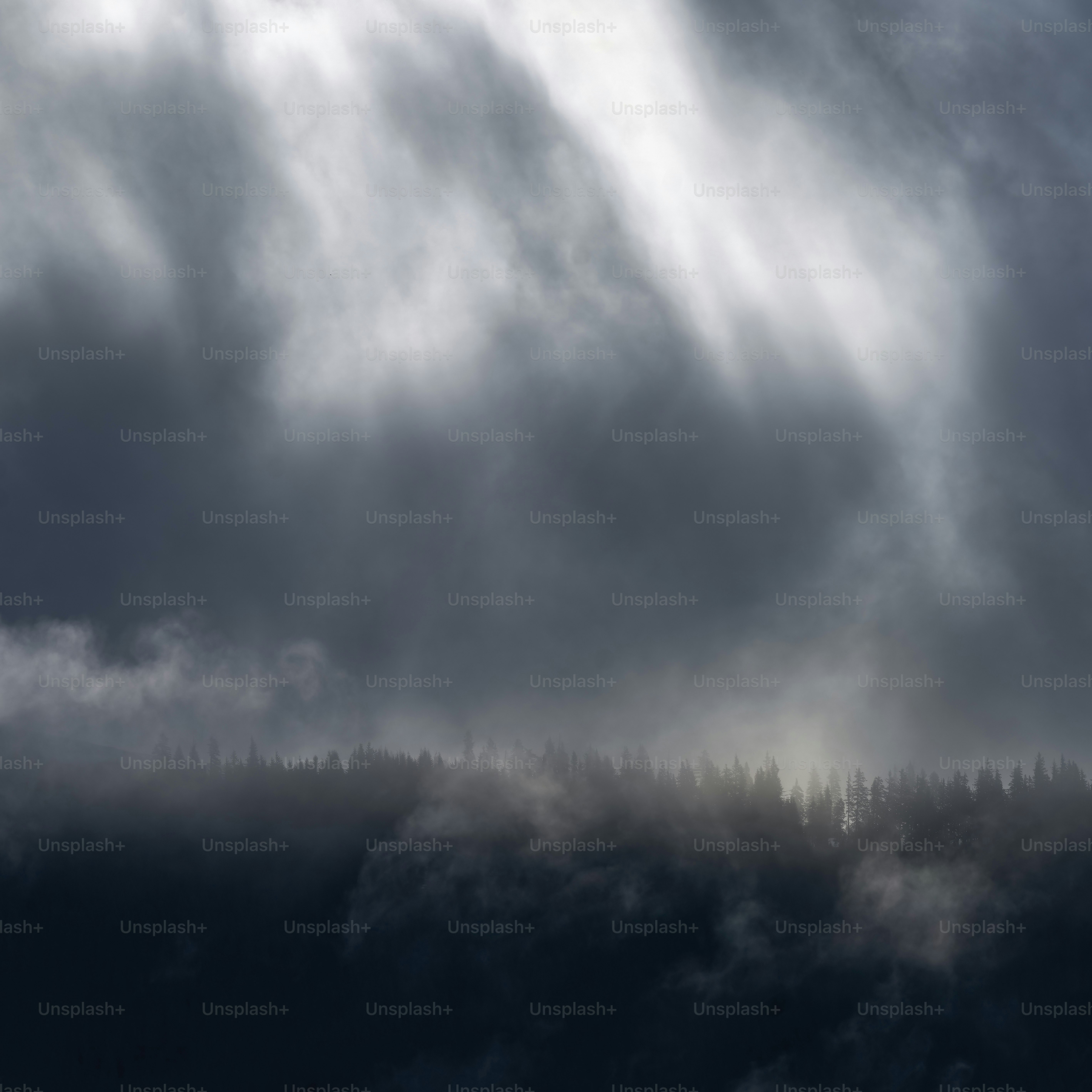 Daniel Mirlea (@danielmirlea) | Unsplash Photo Community