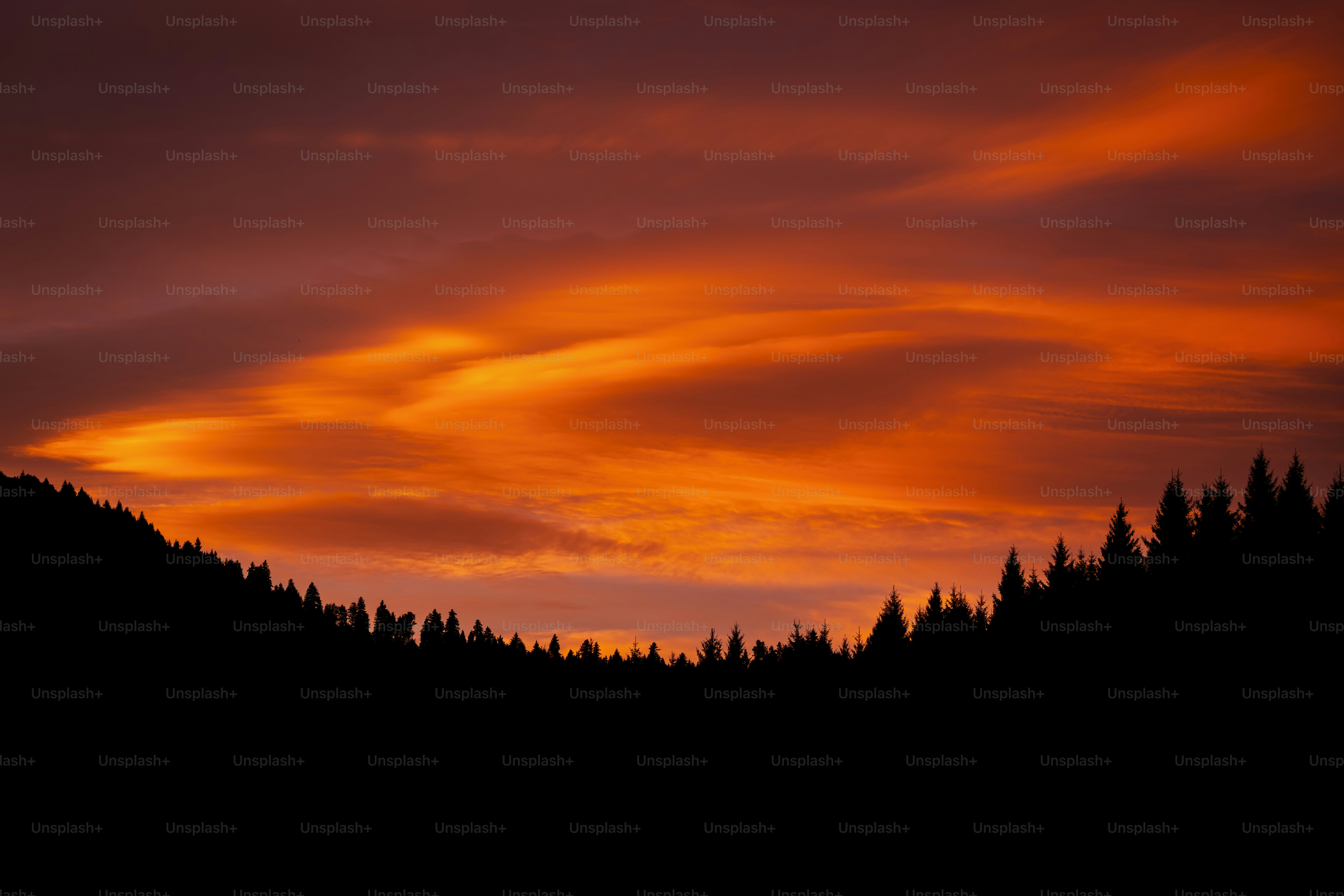 Daniel Mirlea (@danielmirlea) | Unsplash Photo Community