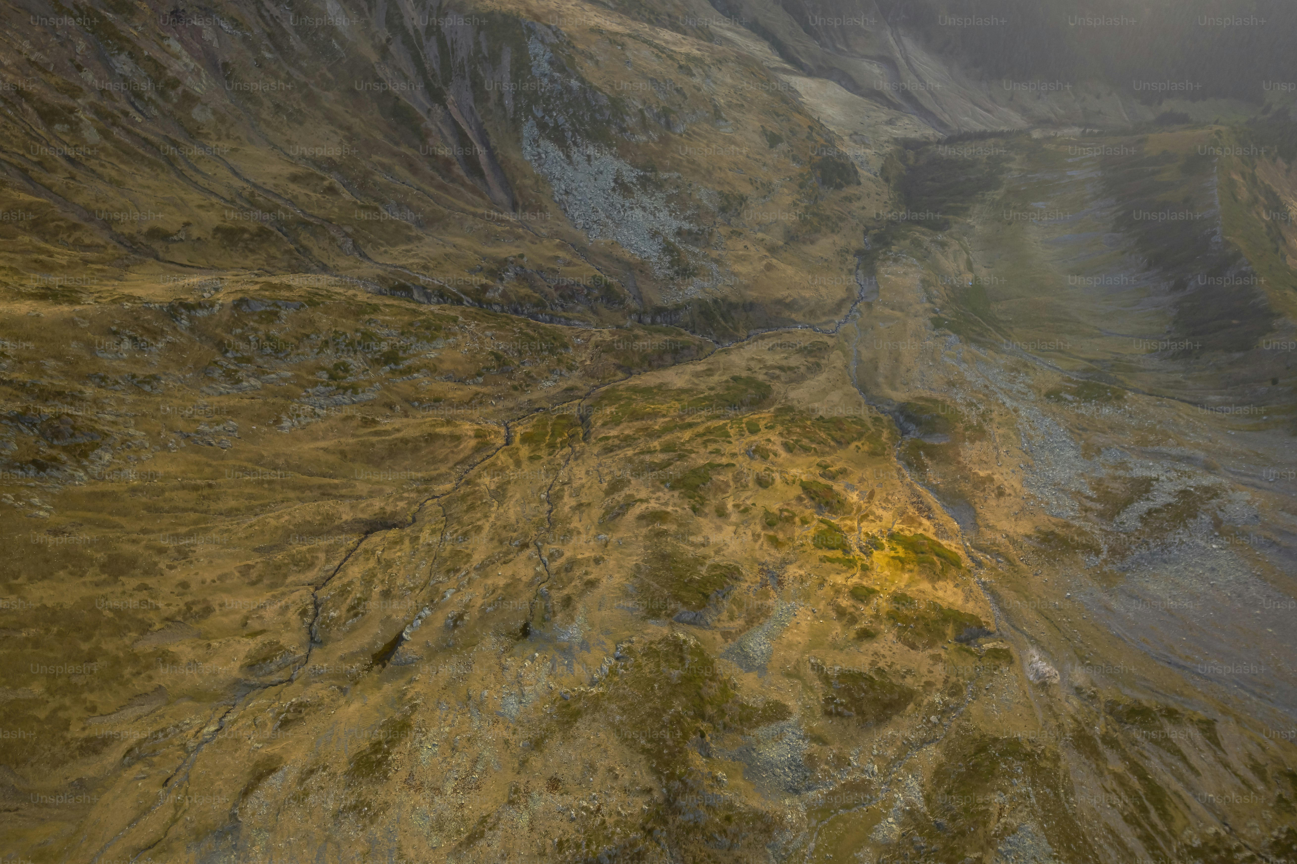 Daniel Mirlea (@danielmirlea) | Unsplash Photo Community