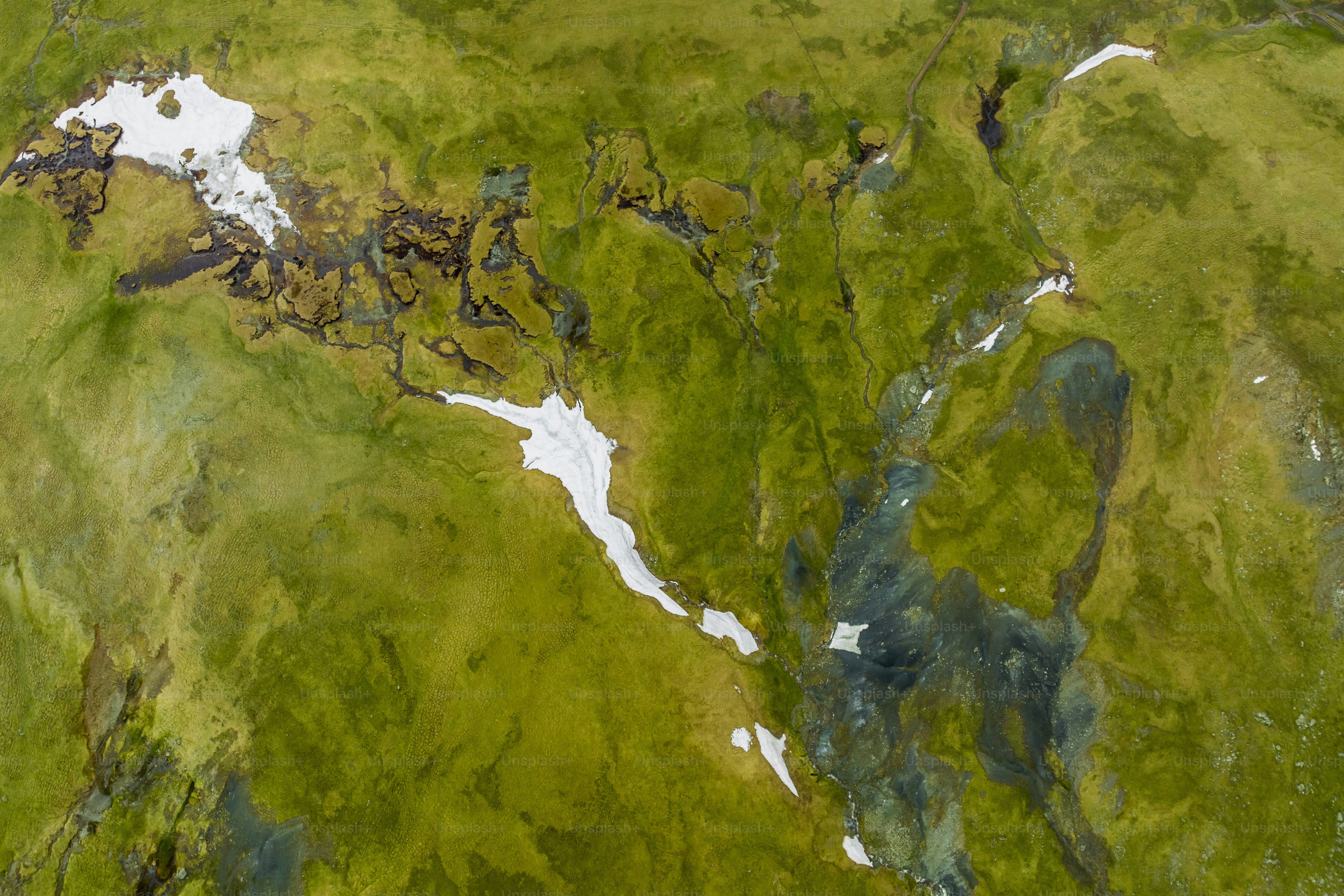 Daniel Mirlea (@danielmirlea) | Unsplash Photo Community