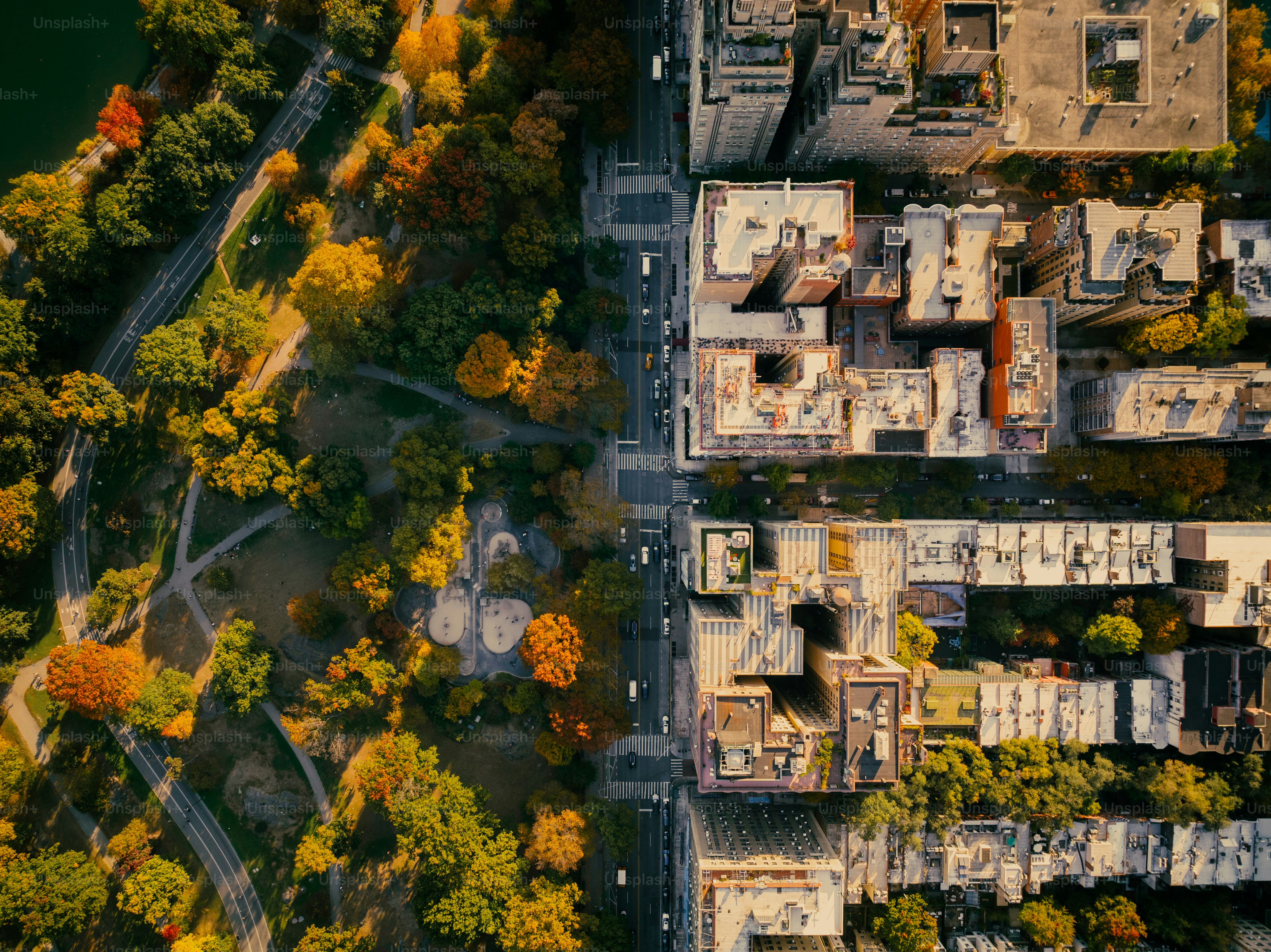 An aerial view of a city with lots of trees photo – Central park Image ...
