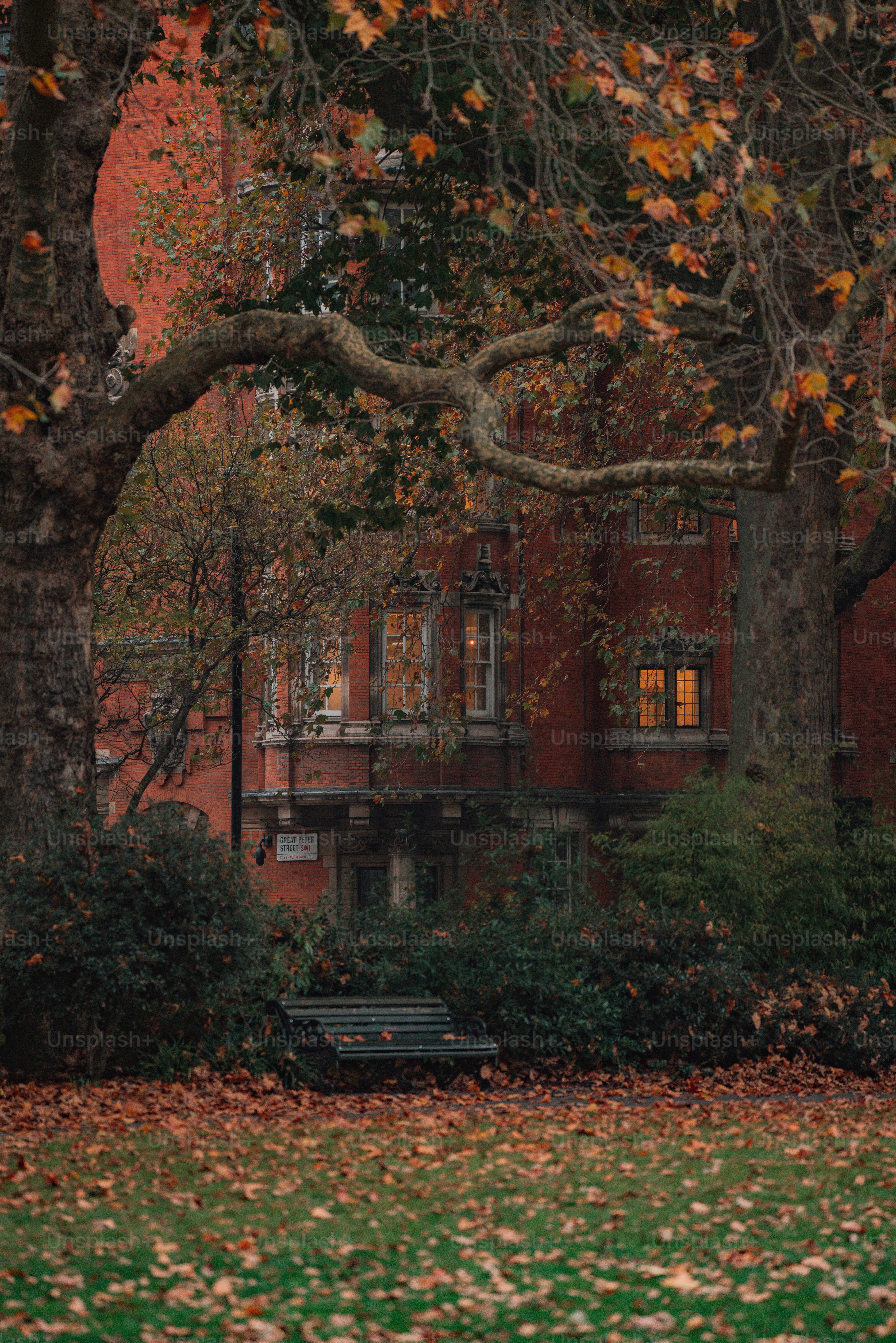 A bench sitting in the middle of a leaf covered park photo – City Image ...