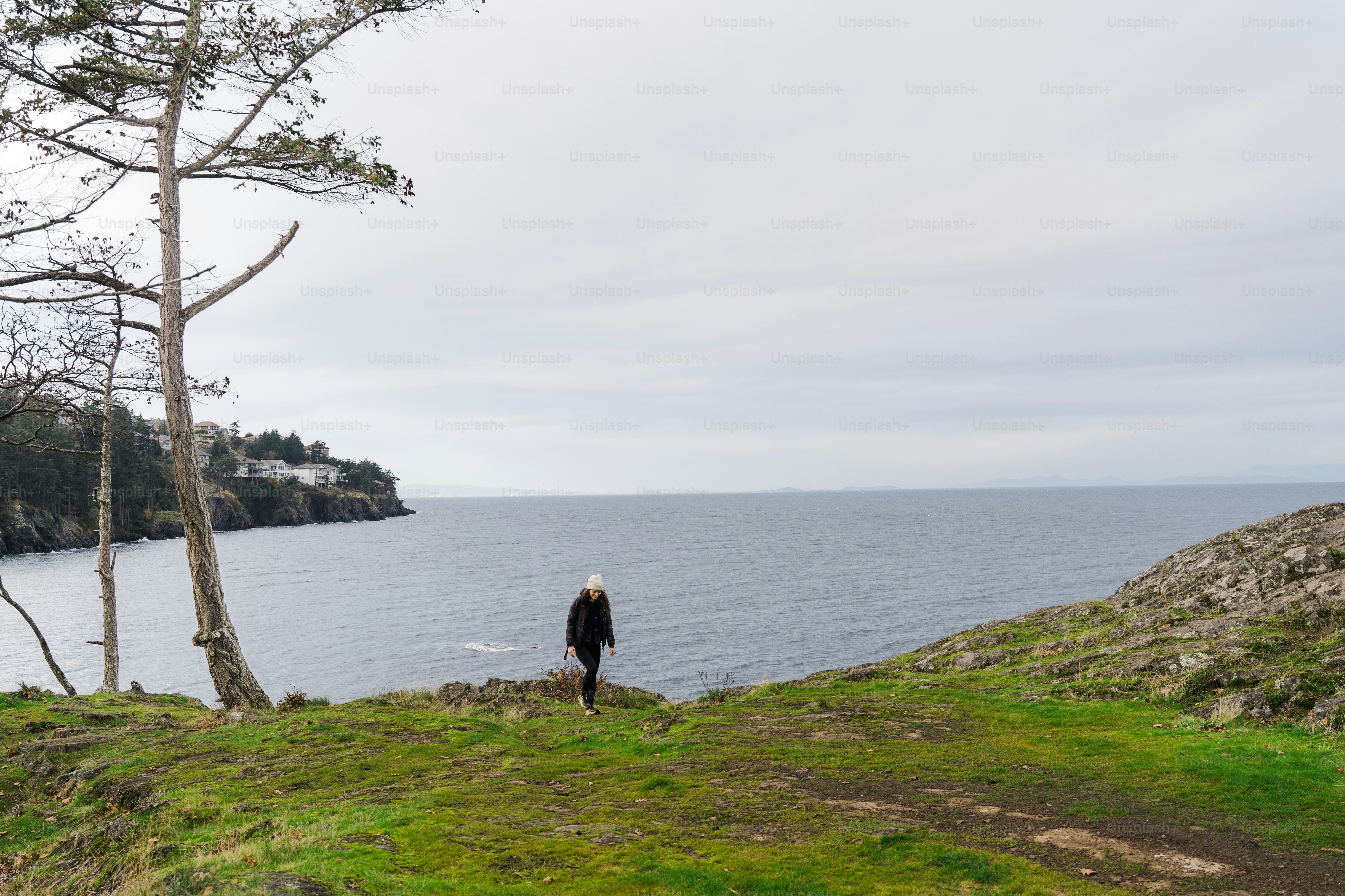 A person standing on a hill overlooking a body of water photo – Ocean ...