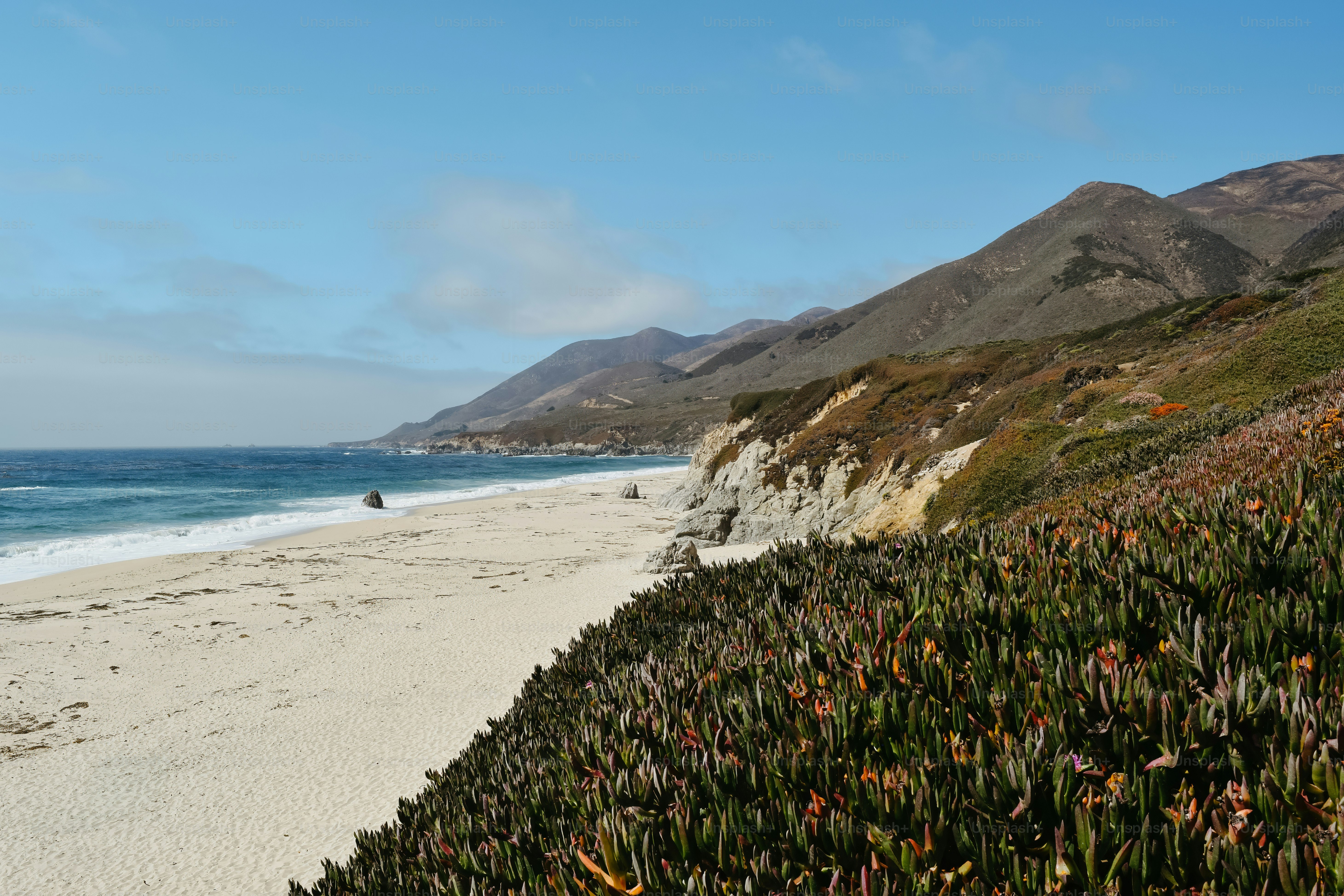 A view of a sandy beach with mountains in the background photo – Bodega ...