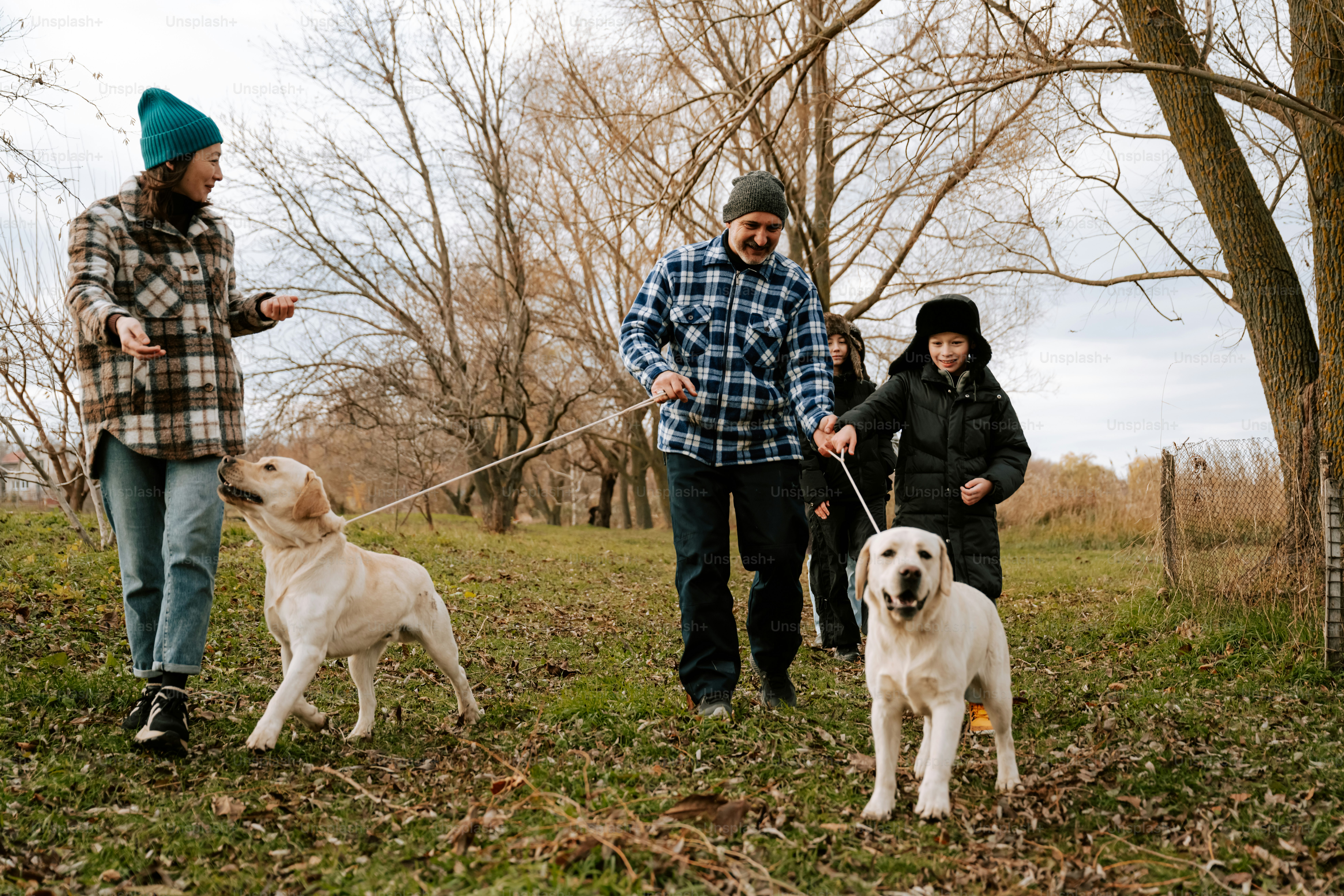 A group of people walking two dogs on a leash photo – Hanging out Image ...