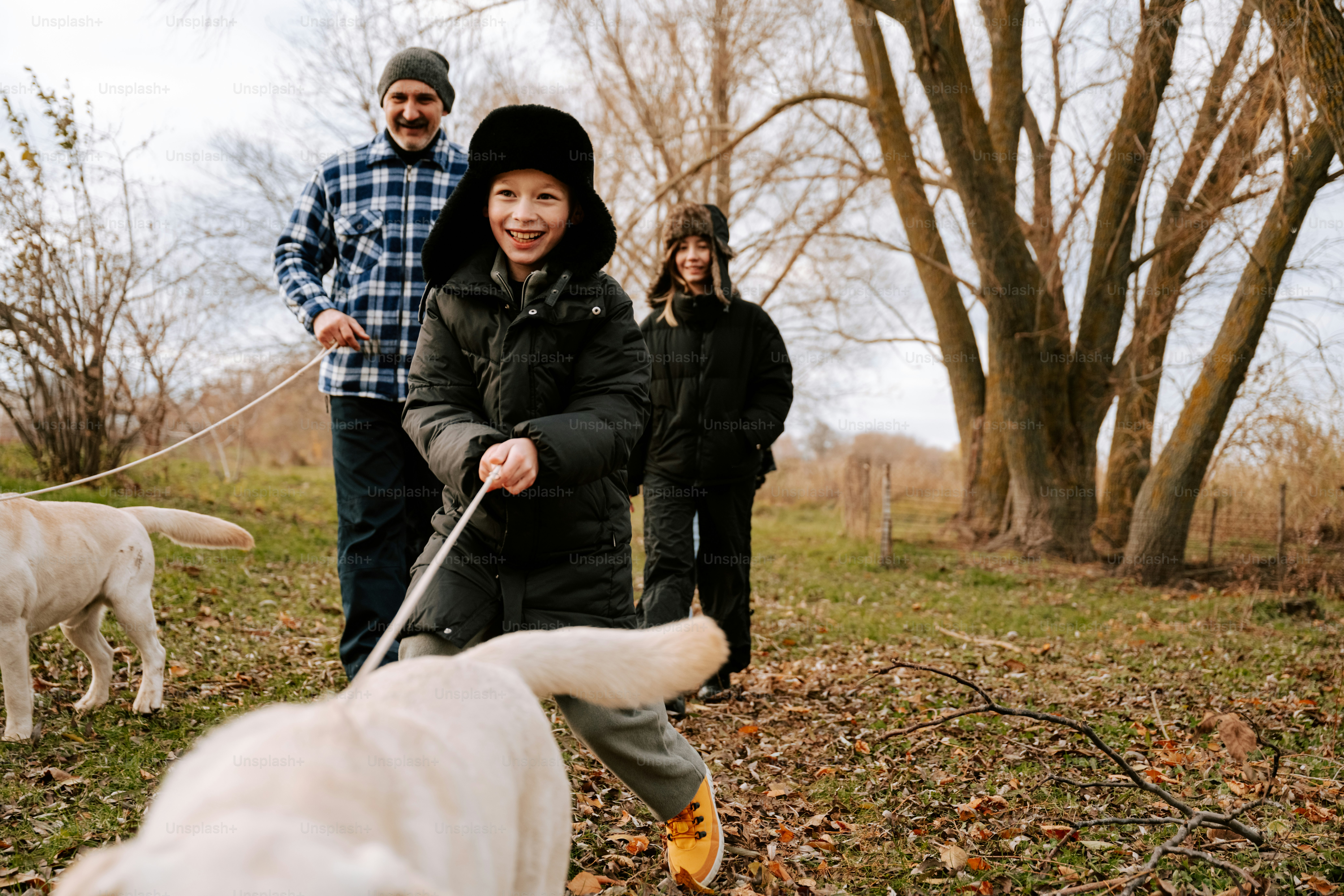 A group of people walking dogs in a park photo – Family Image on Unsplash