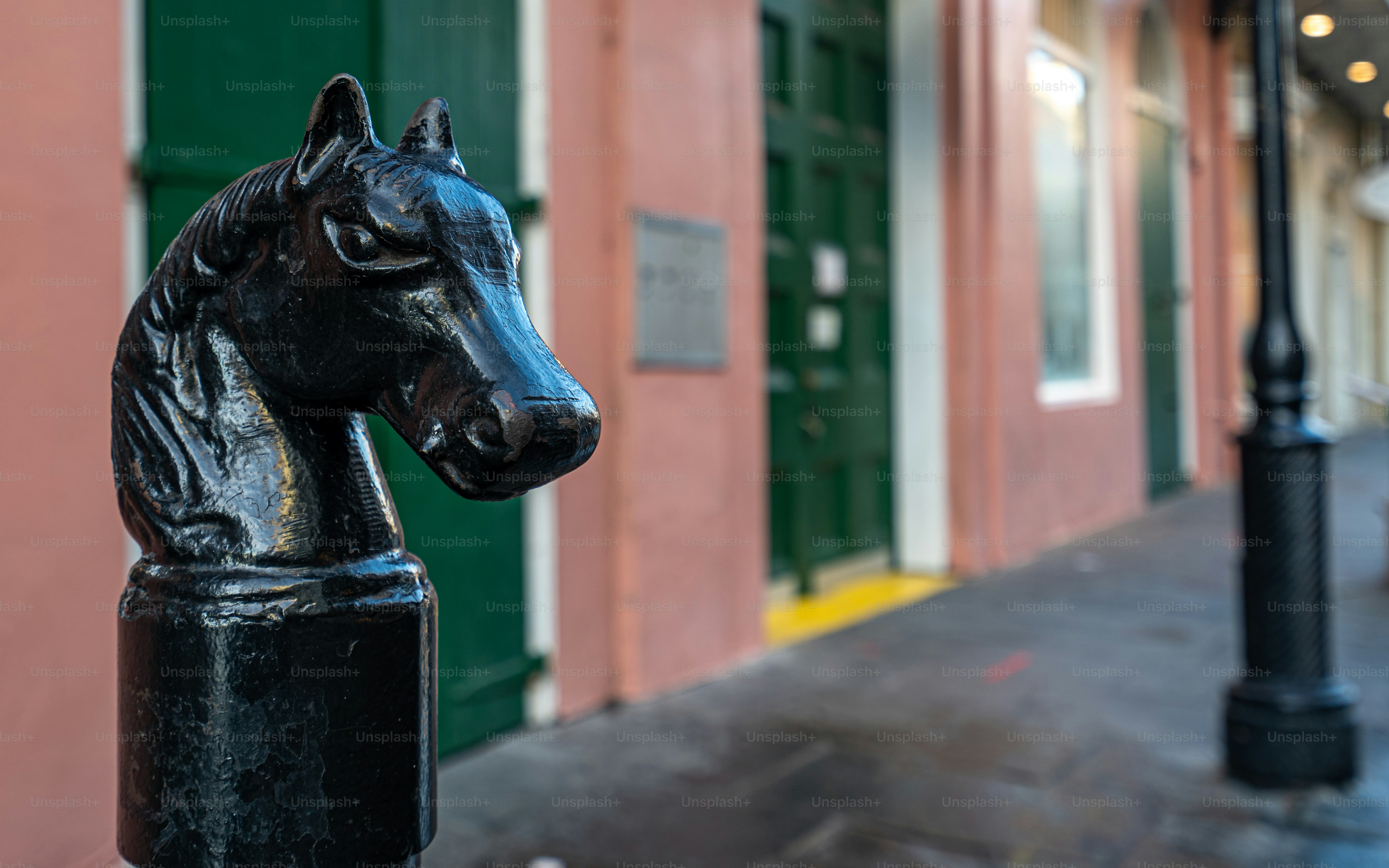 Logo Testa Di Cavallo