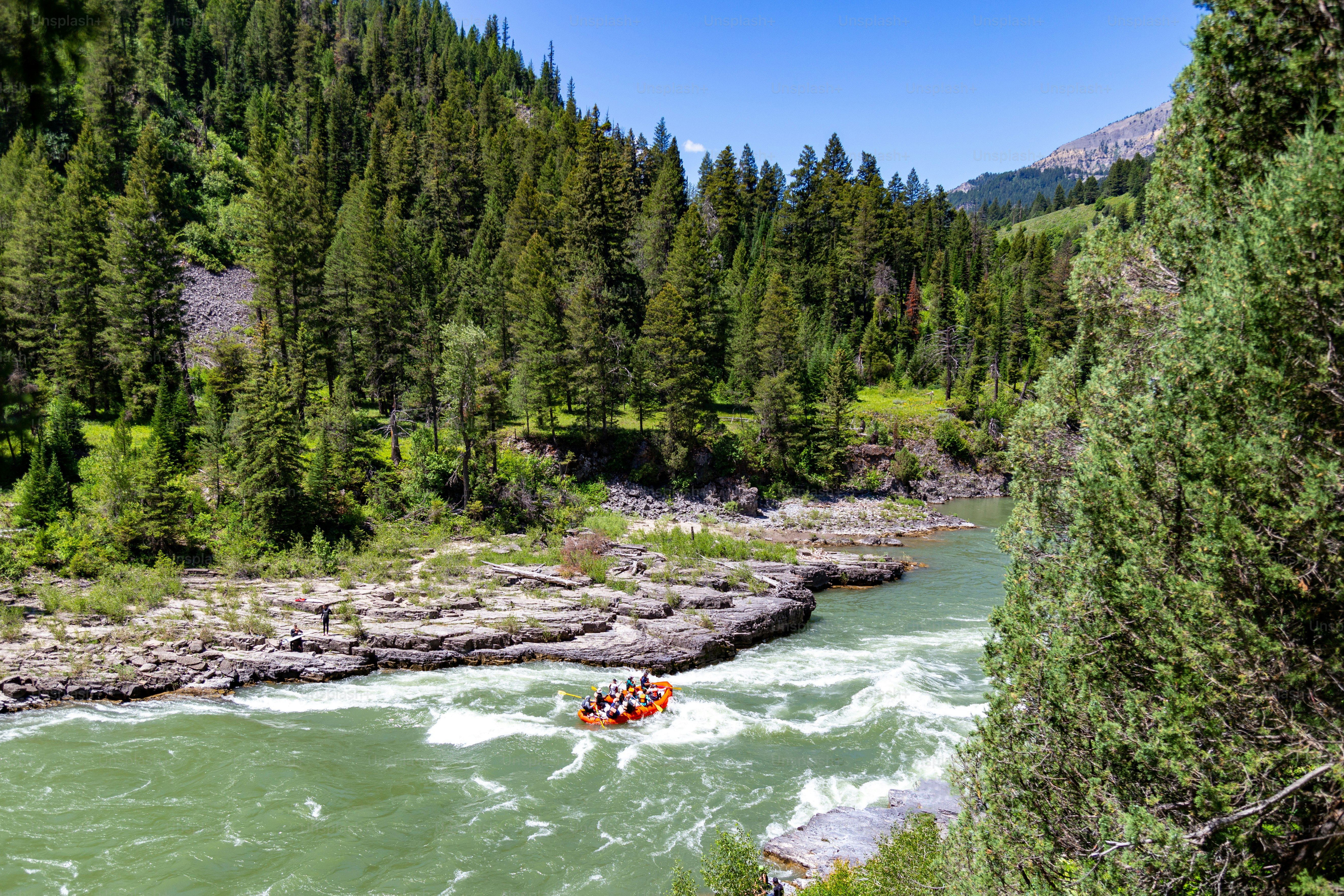 Lunch Counter Rapid on the Snake River in summer photo – Wilderness ...