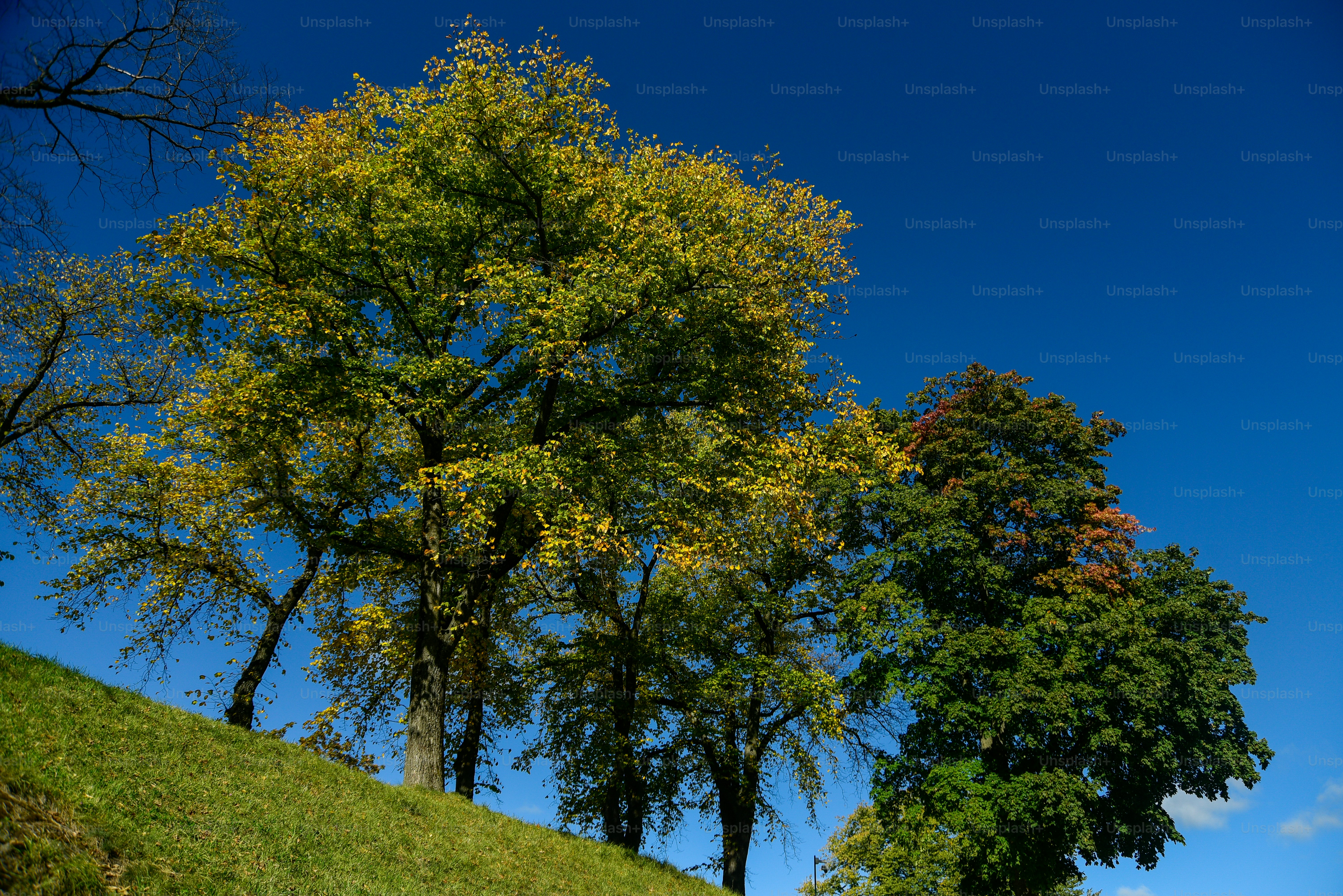 Beautiful scenery of Oslo, the capital of Norway photo – Capital cities ...