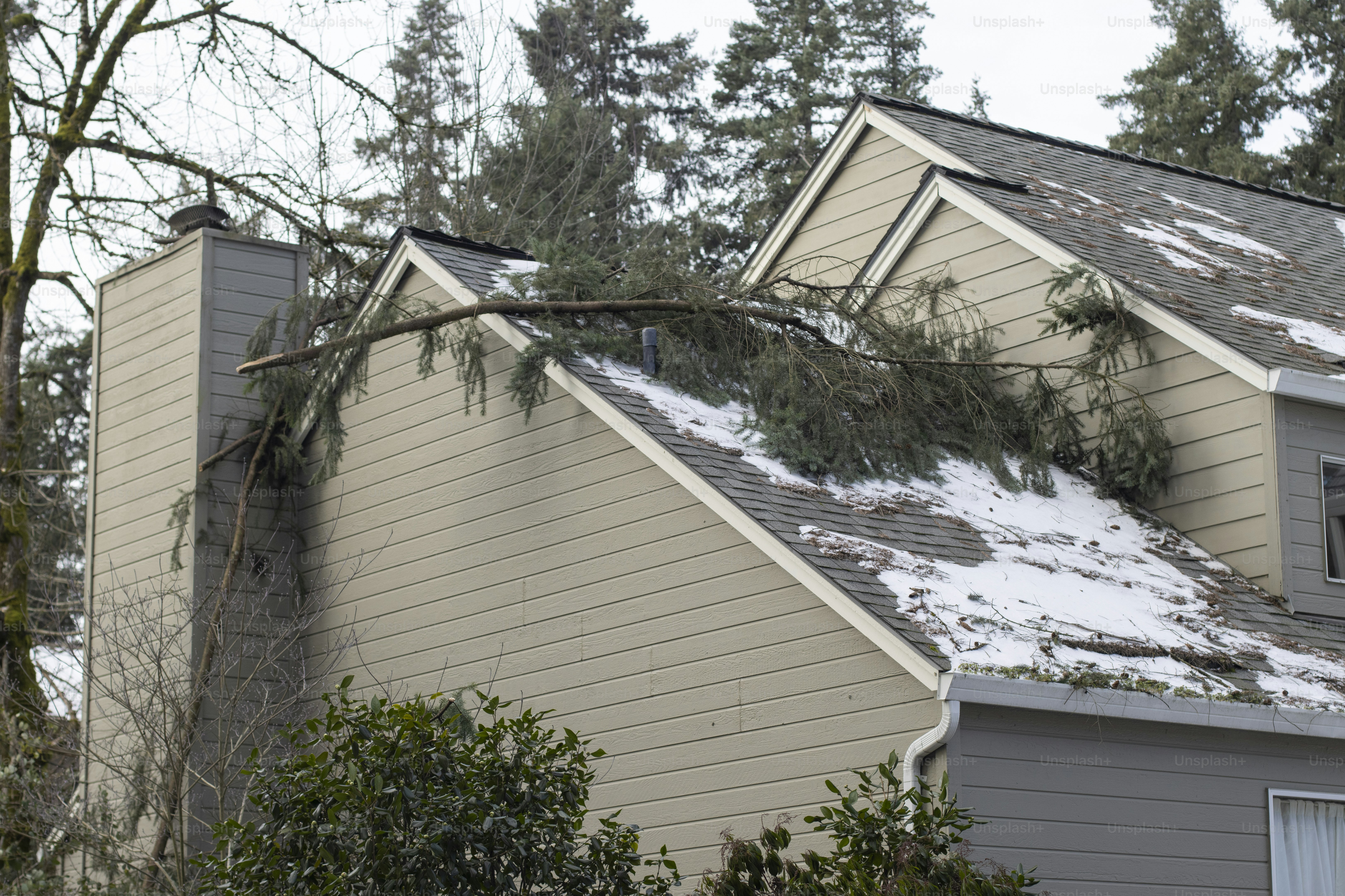 Fallen tree branches on the roof of a residential building after severe ...