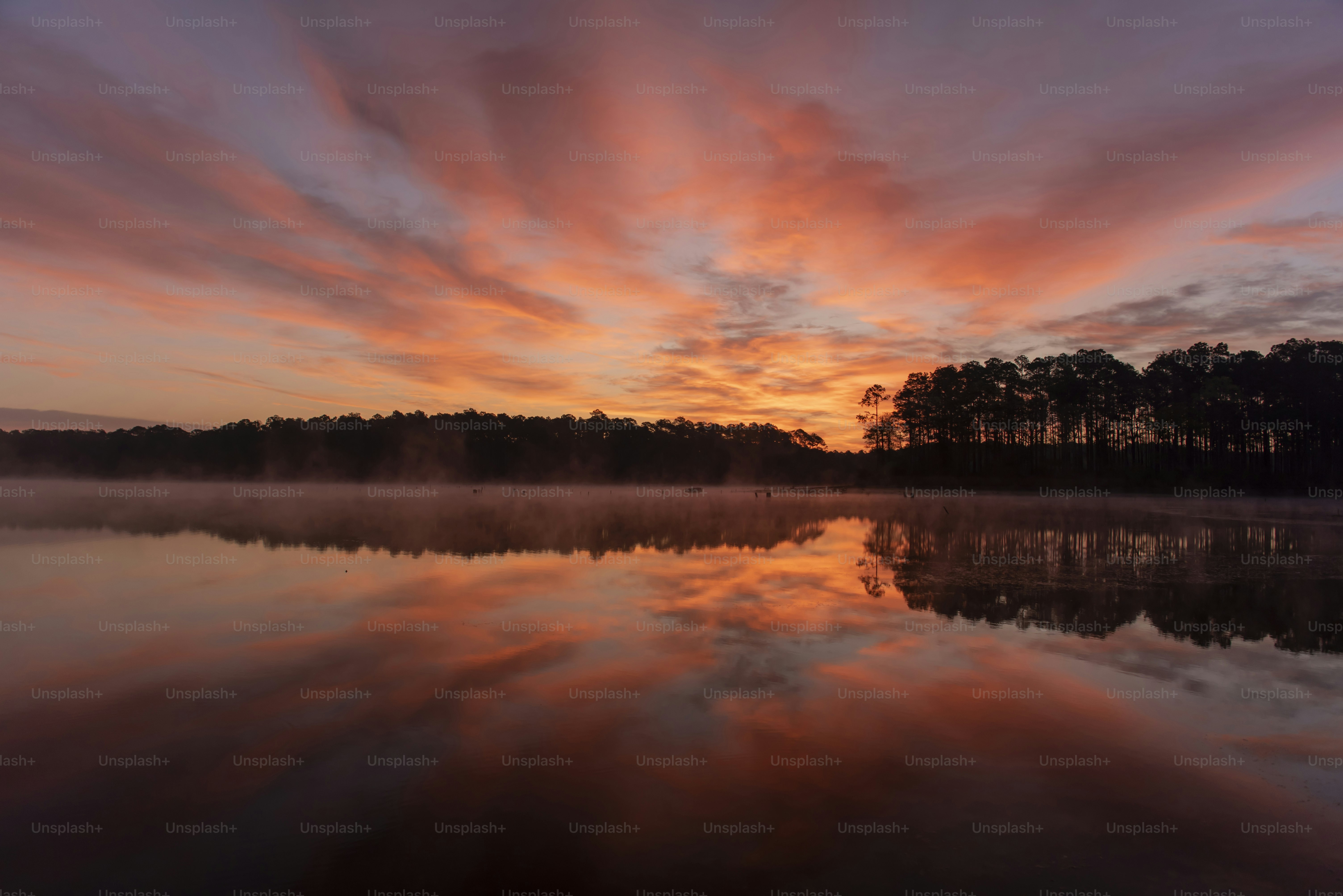 Photo taken at Bear Lake, Blackwater River state forest in NW Florida ...