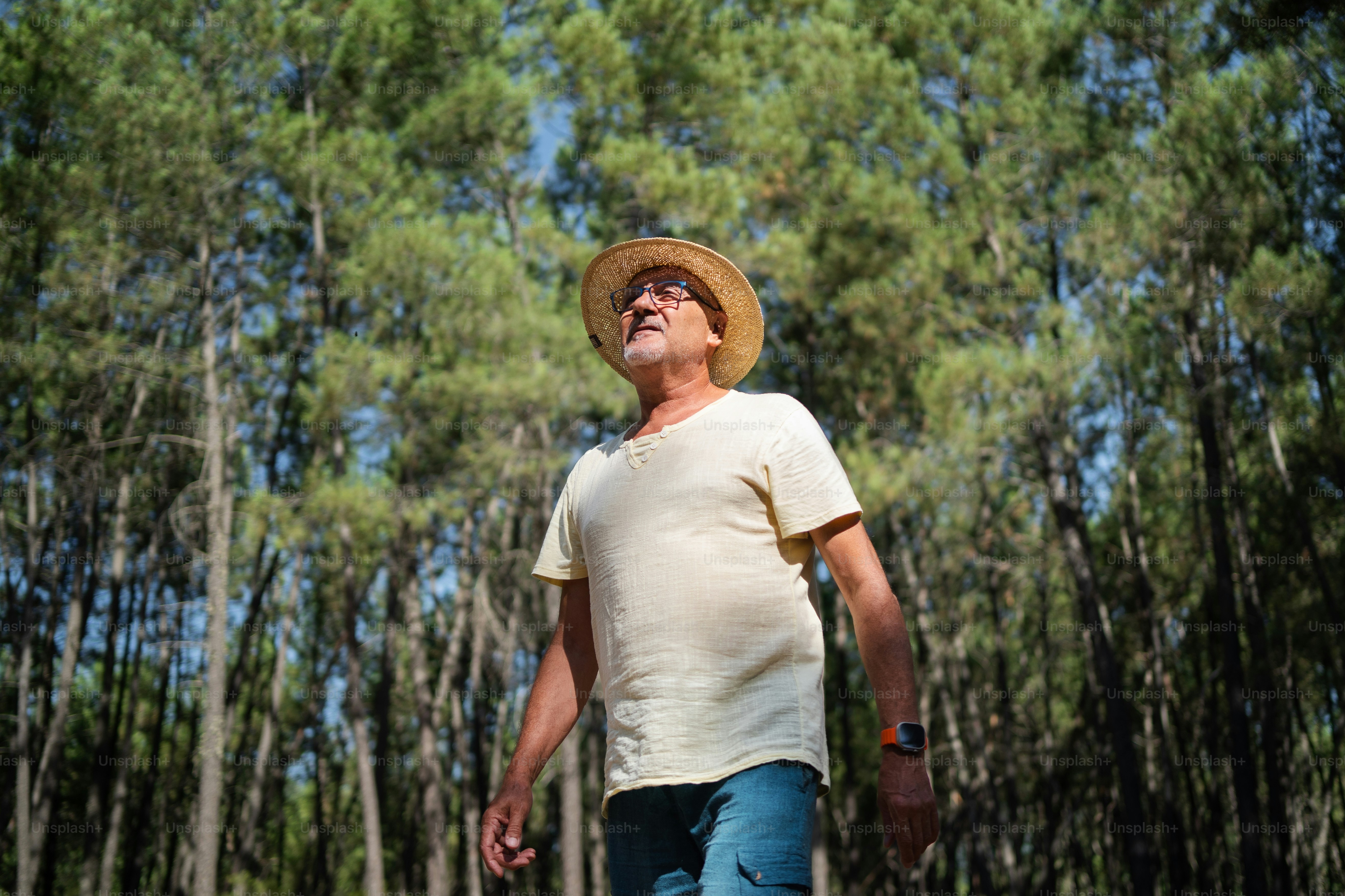Un homme âgé profite d’une promenade dans une forêt ensoleillée photo ...