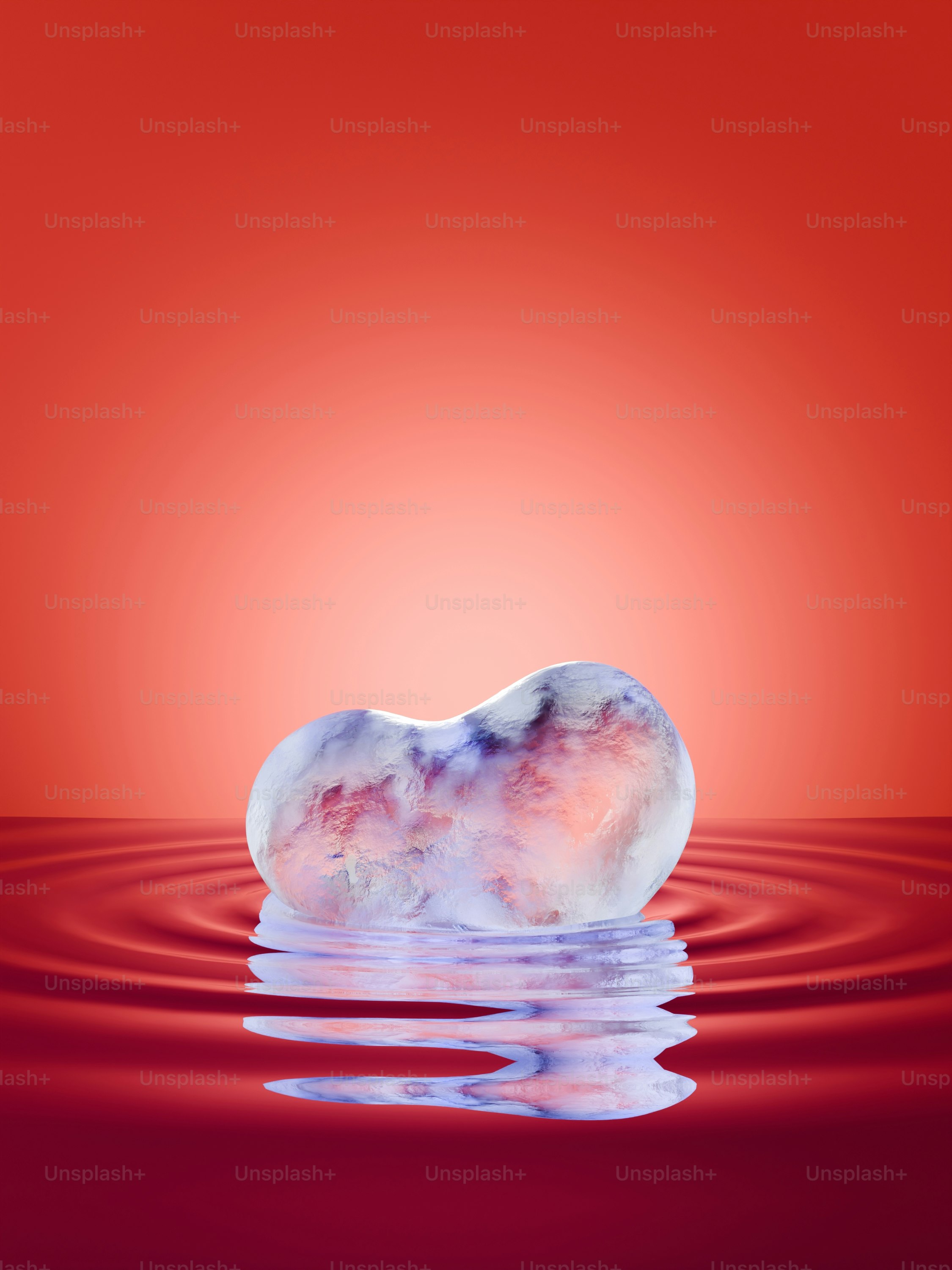 水面に浮かぶ白い物体の写真 – Unsplashの失恋の画像