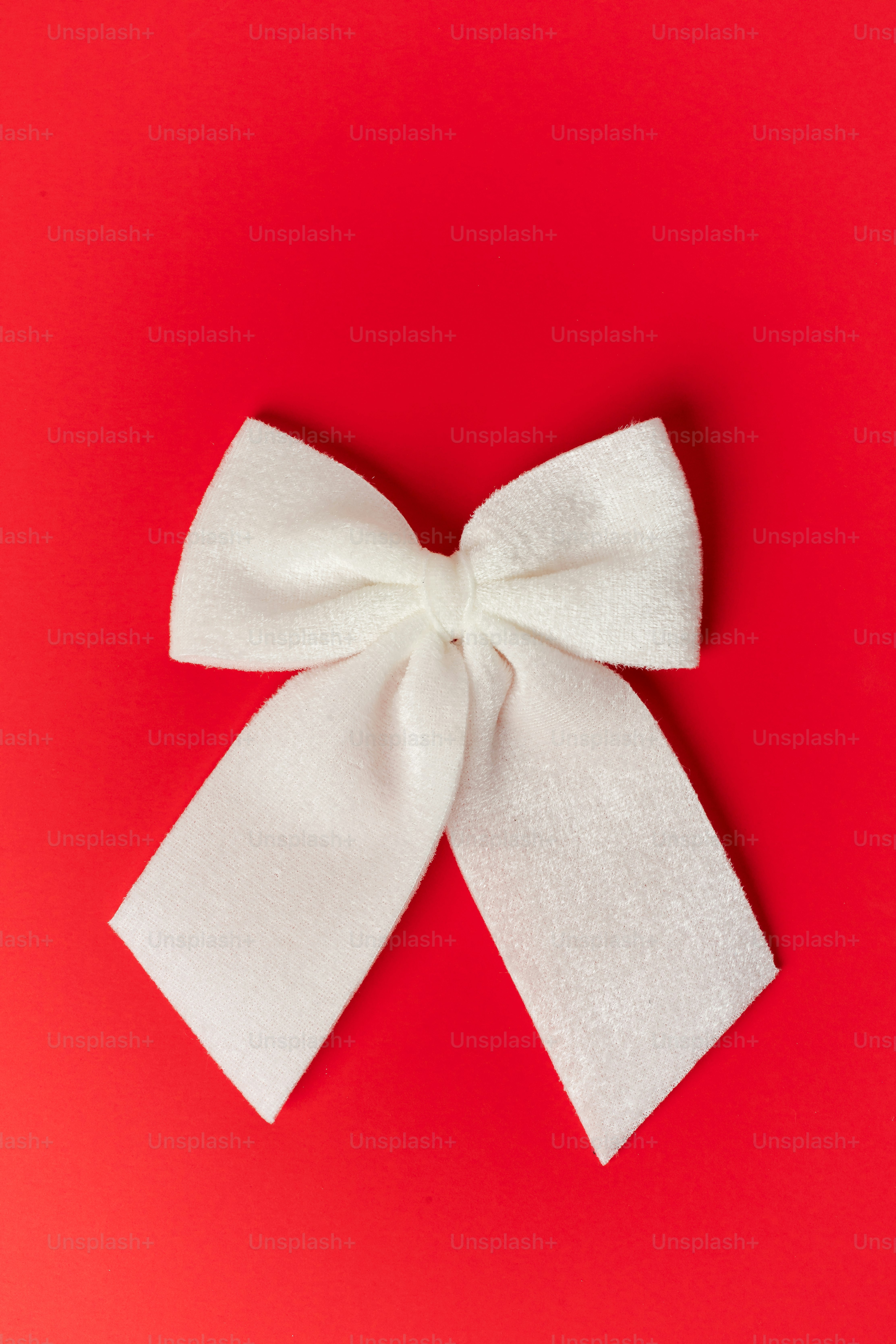 Bow Pictures | Download Free Images on Unsplash