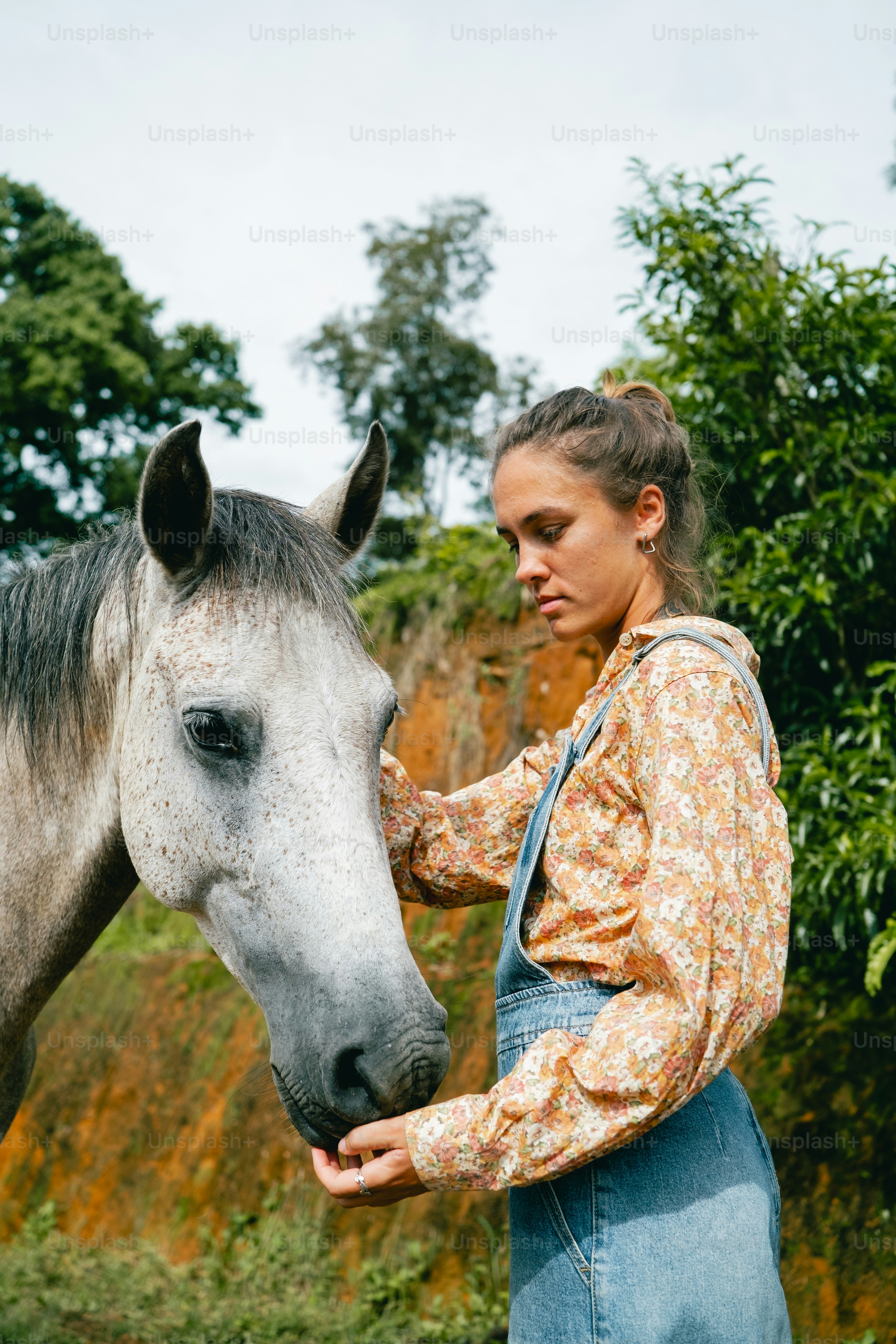A woman holding the bridle of a horse photo – People Image on Unsplash