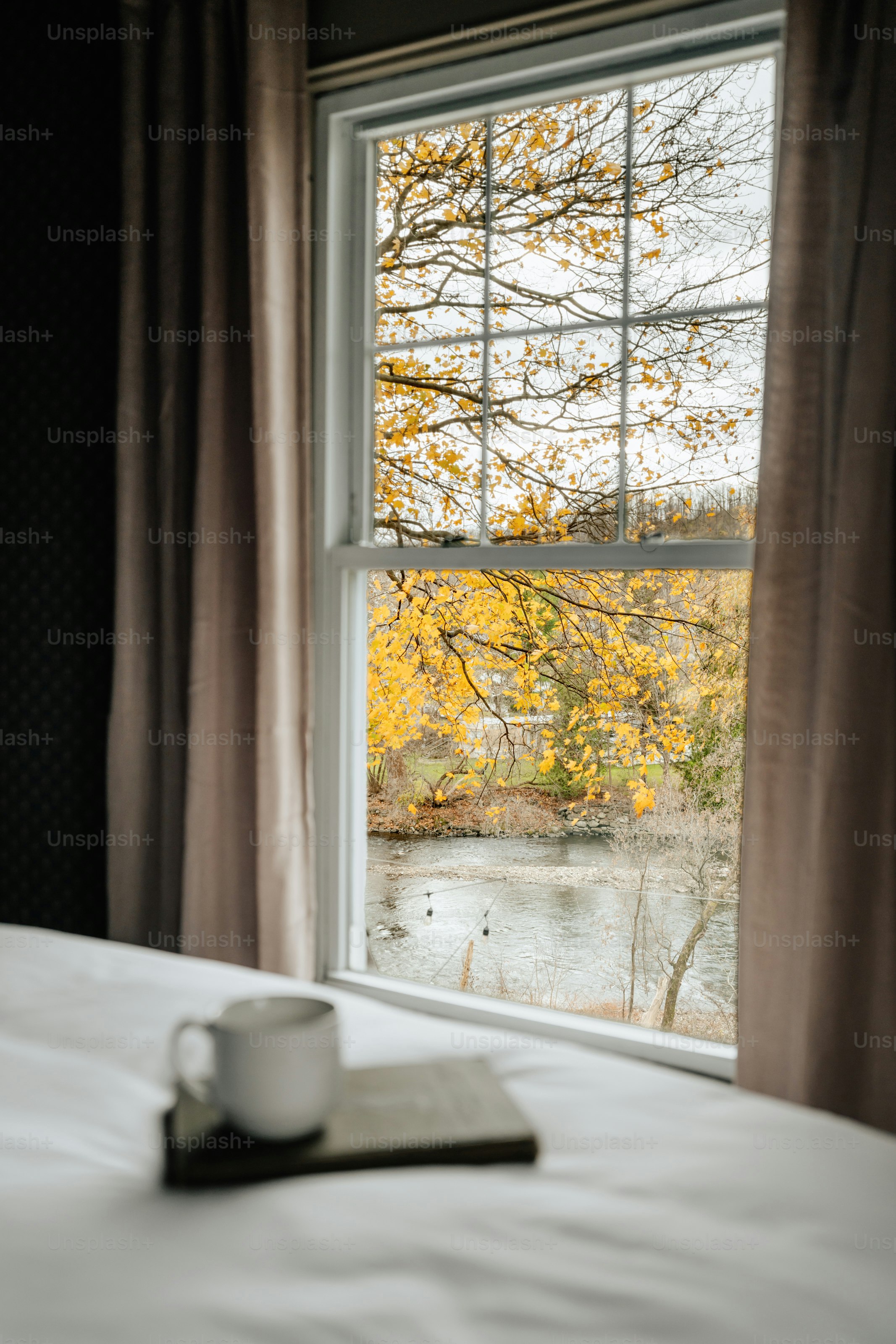 Una tazza di caffè seduta sopra un letto accanto a una finestra foto ...