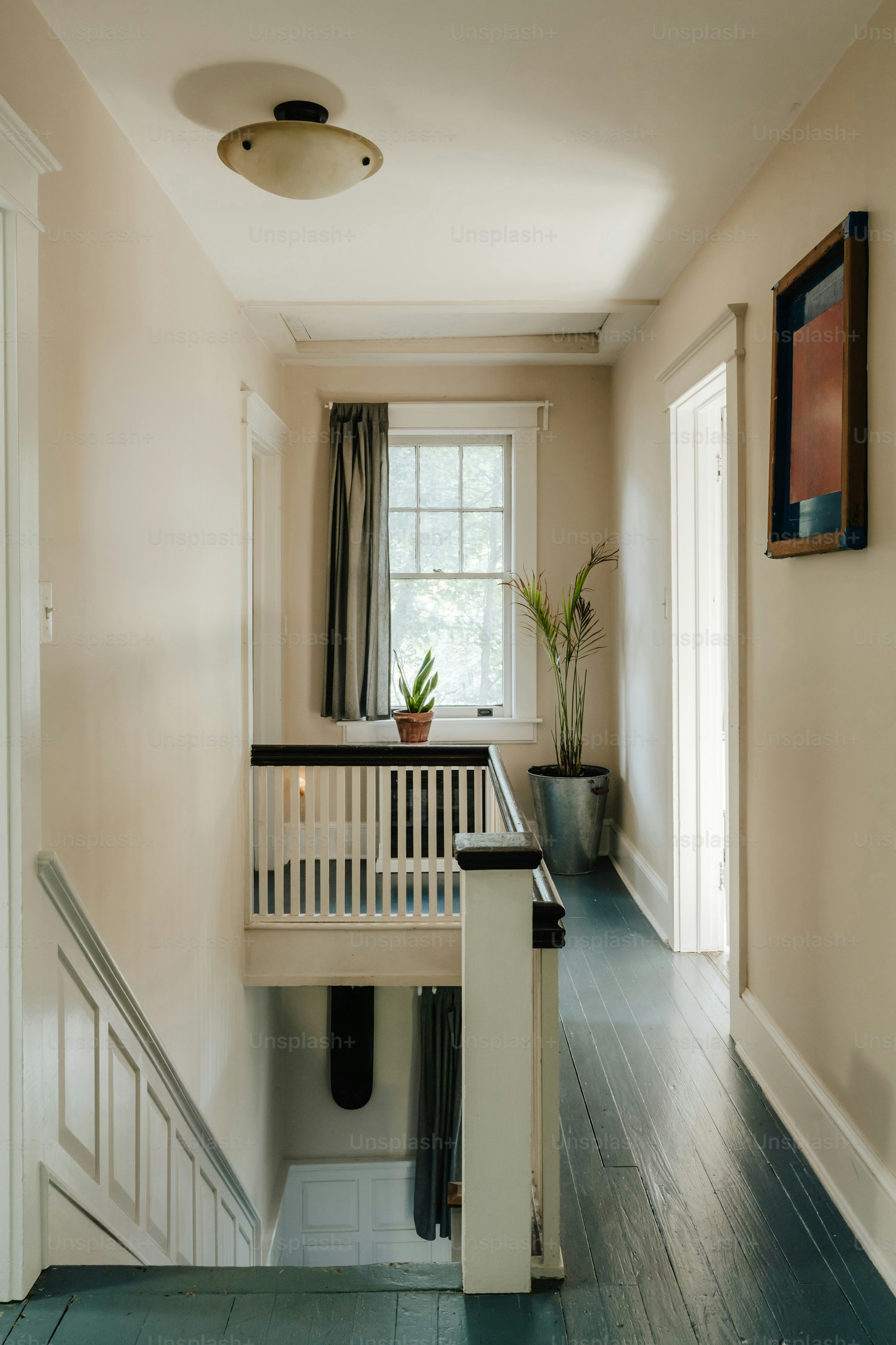 A hallway with a stair case and a potted plant photo – Building Image ...