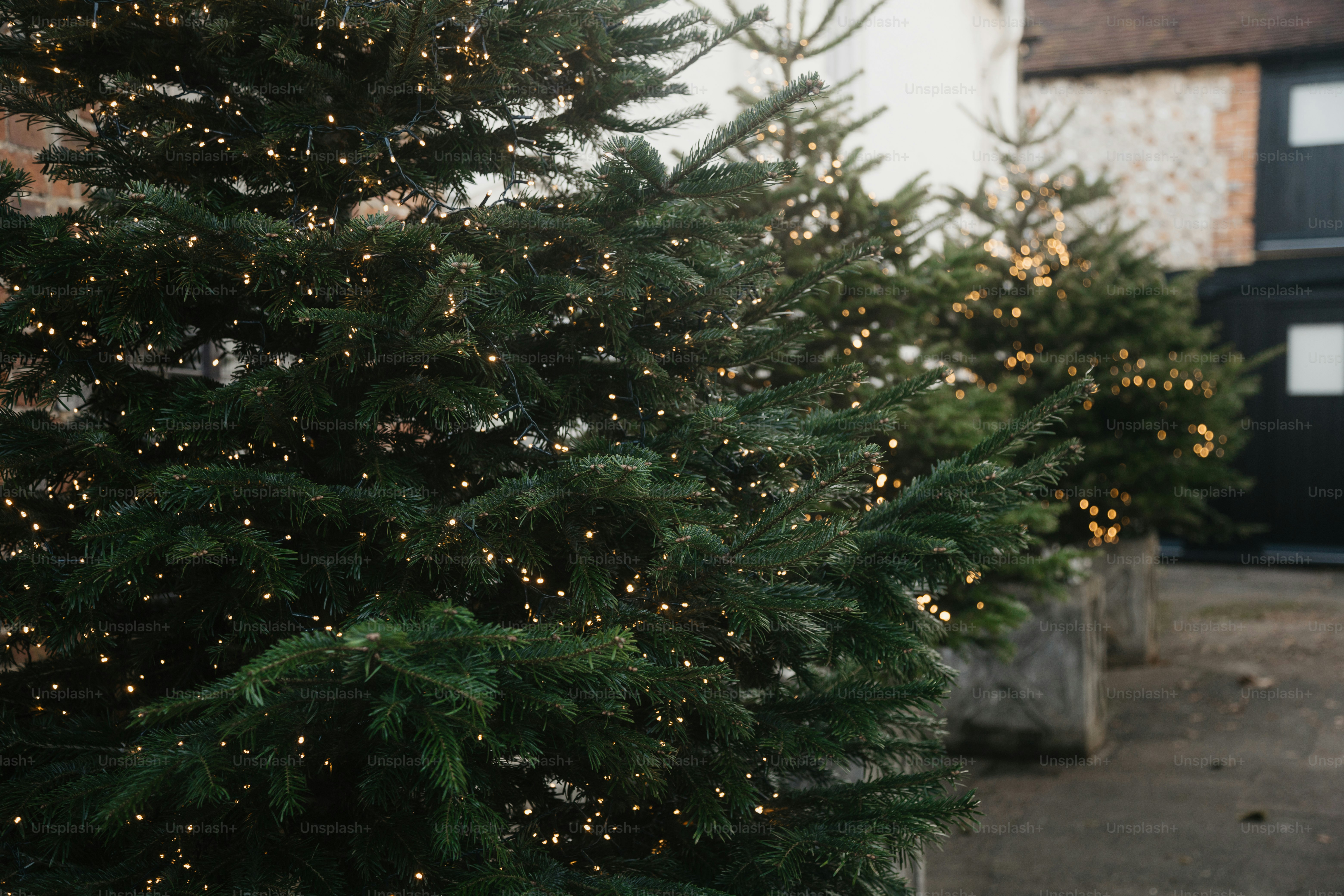 A large christmas tree in front of a building photo – Christmas Image ...
